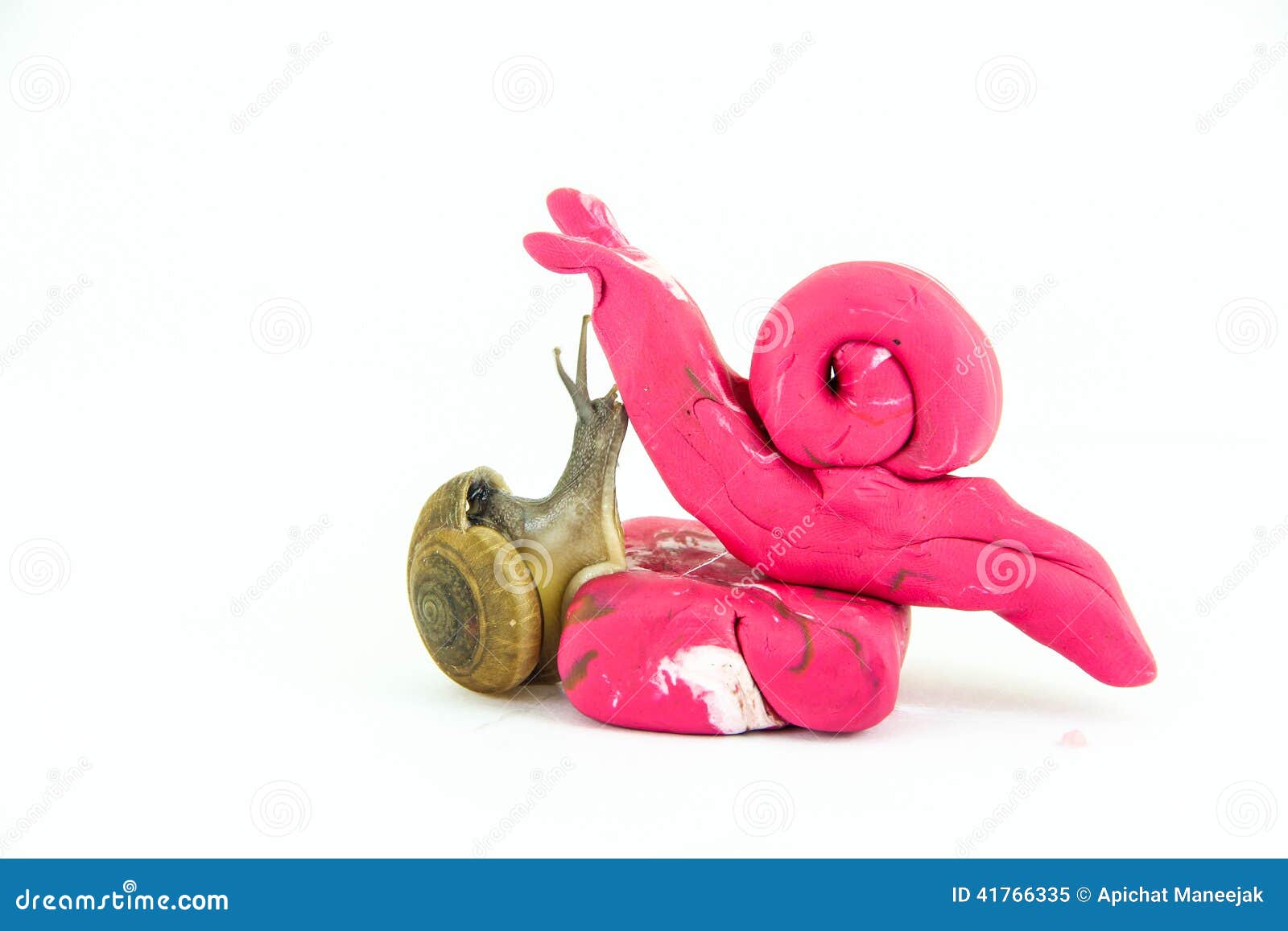 Snail stock image. Image of crawl, gliding, animal, look - 41766335