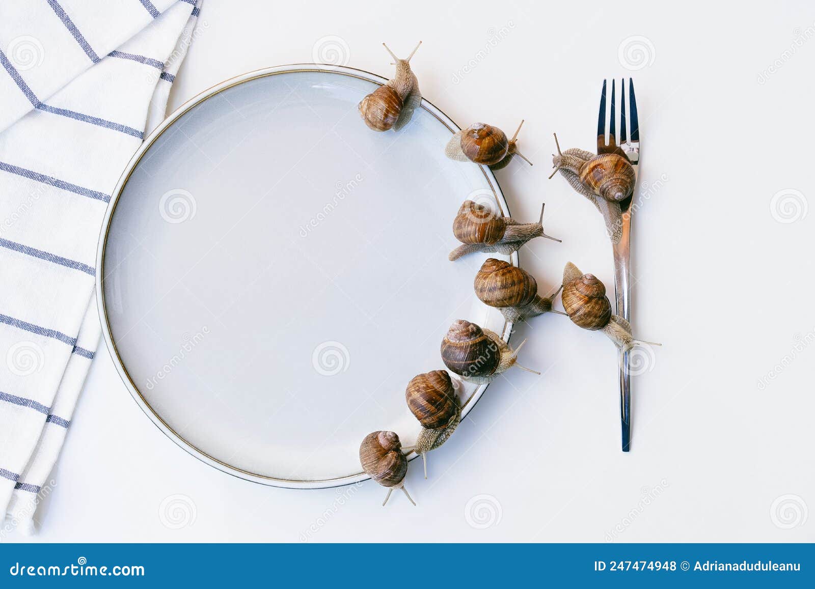 Alive snails on plate stock photo. Image of freshness - 247474948