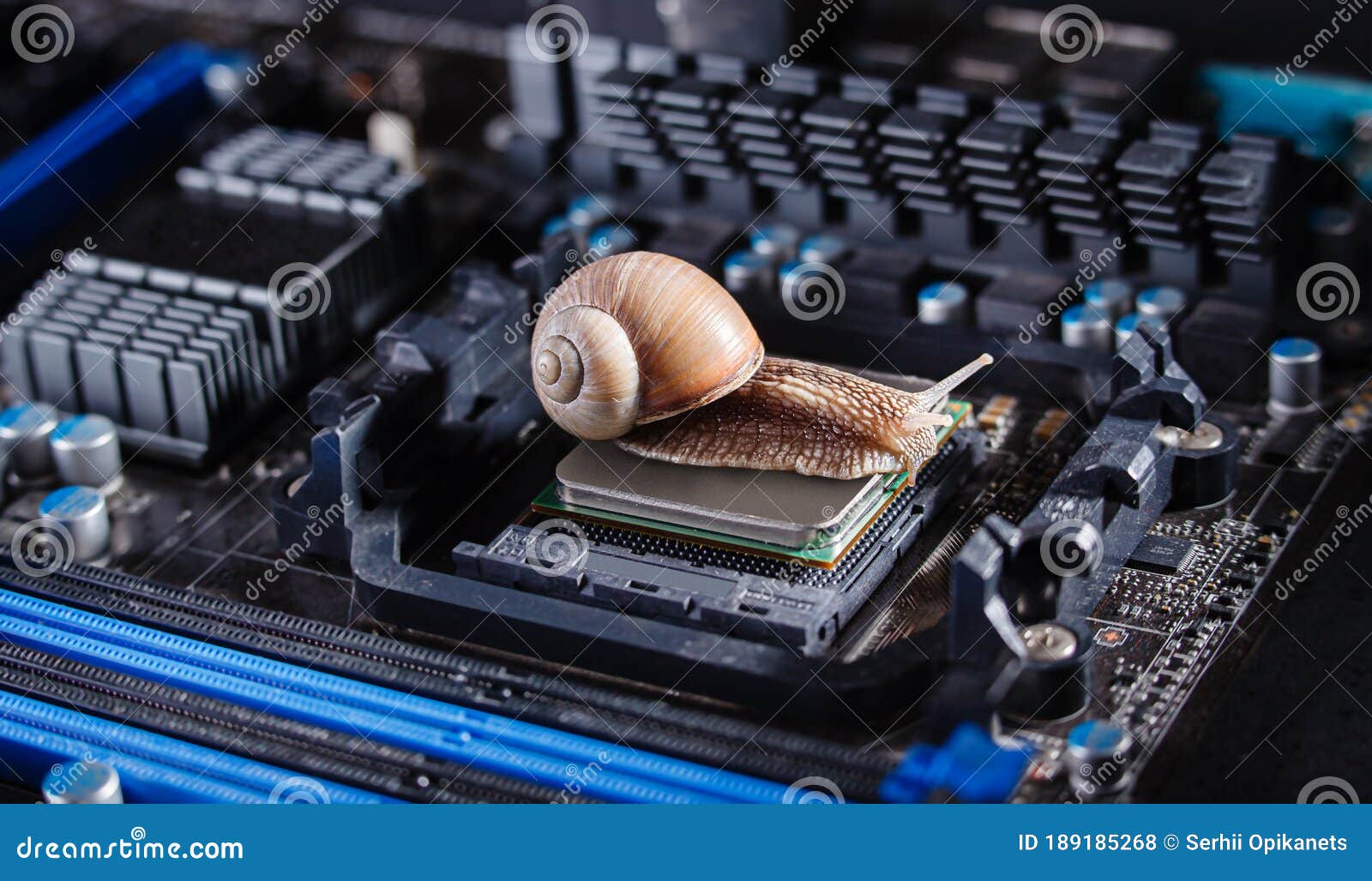A Snail On The Processor In The Motherboard. Old Computer. Slow ...