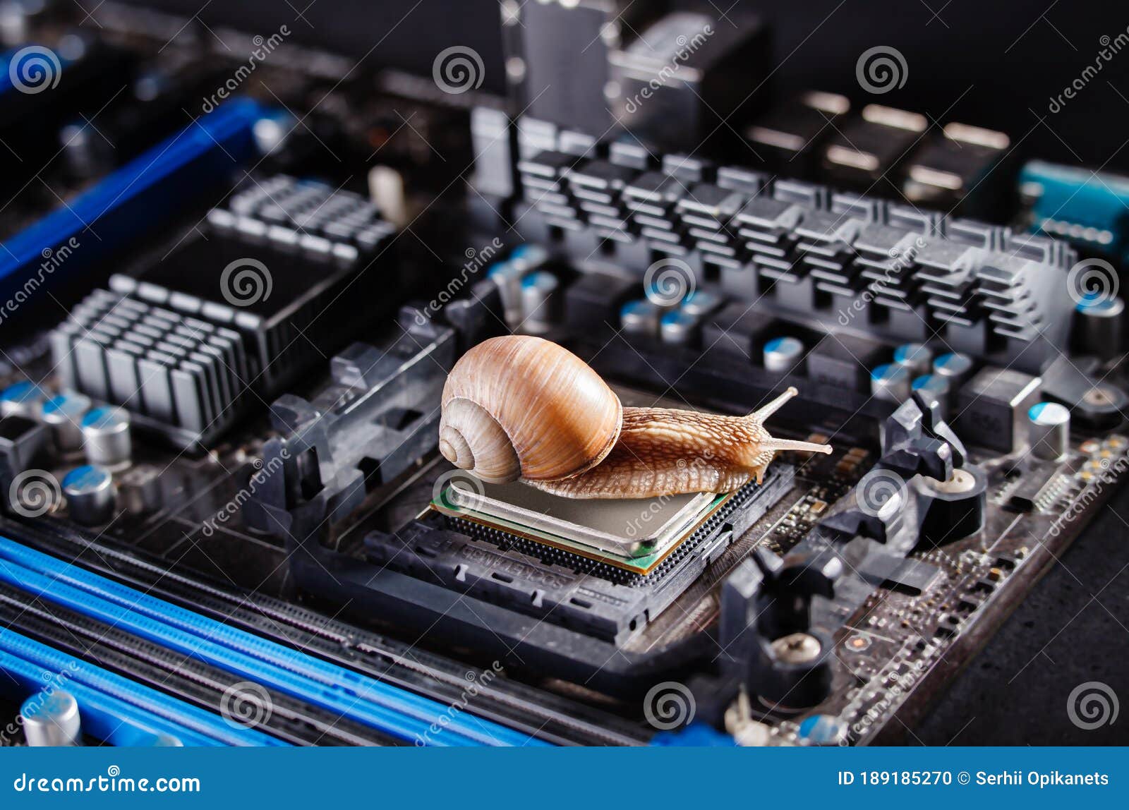 A Snail on the Processor in the Motherboard. Old Computer Stock Photo ...
