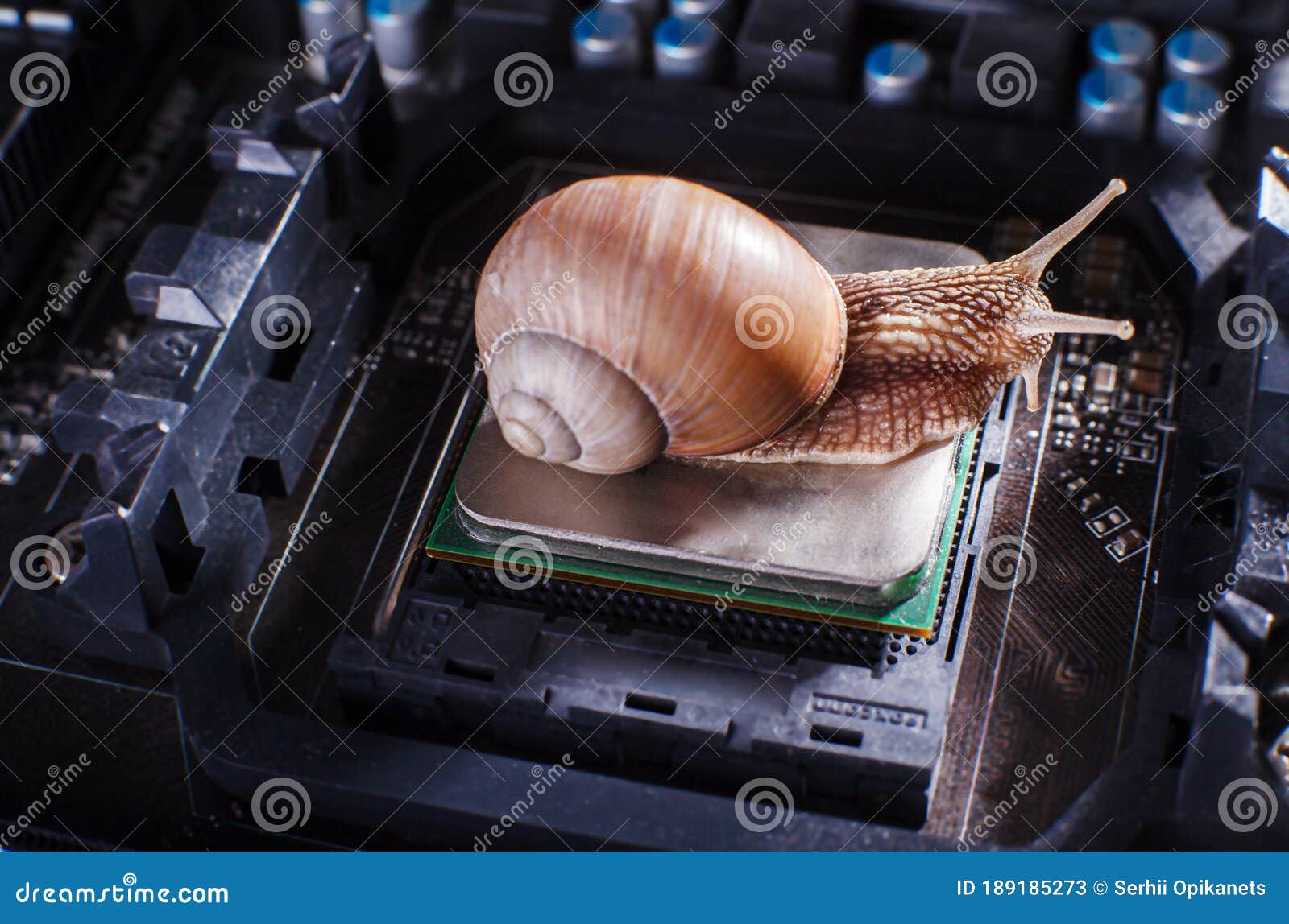 A Snail on the Processor in the Motherboard. Old Computer Stock Image ...