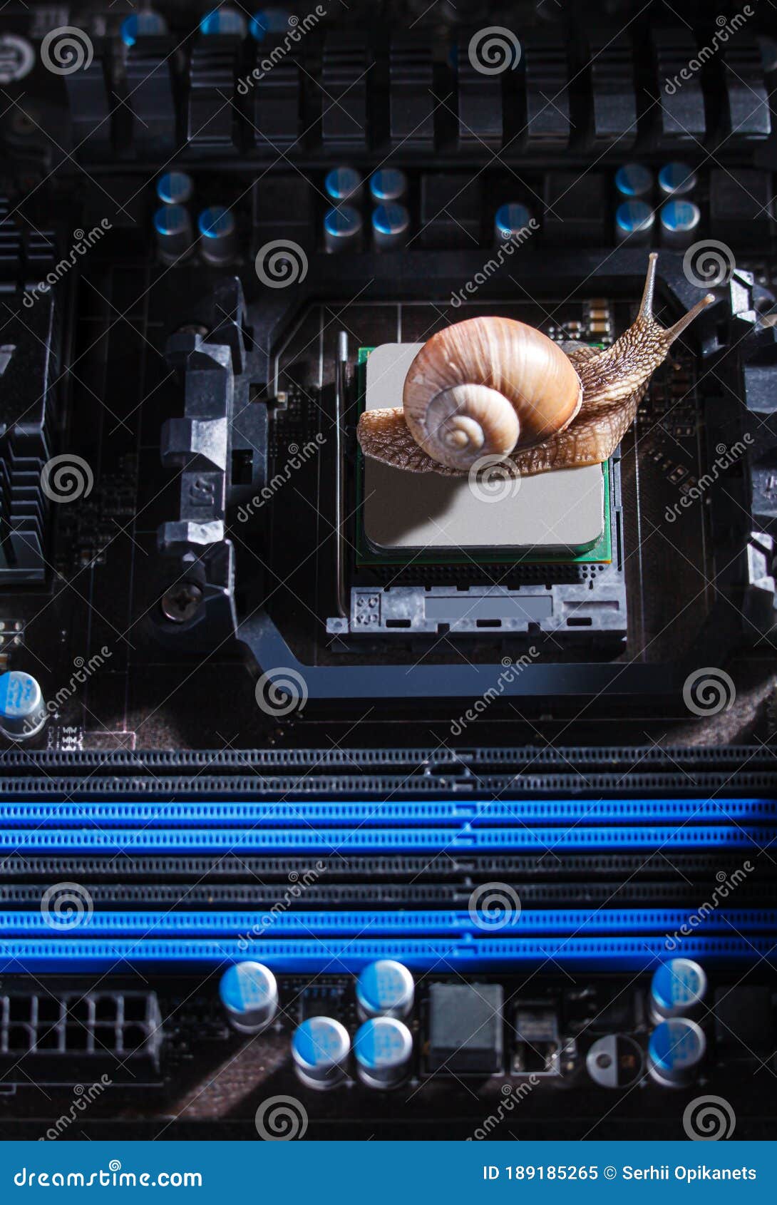 A Snail on the Processor in the Motherboard. Old Computer Stock Image ...