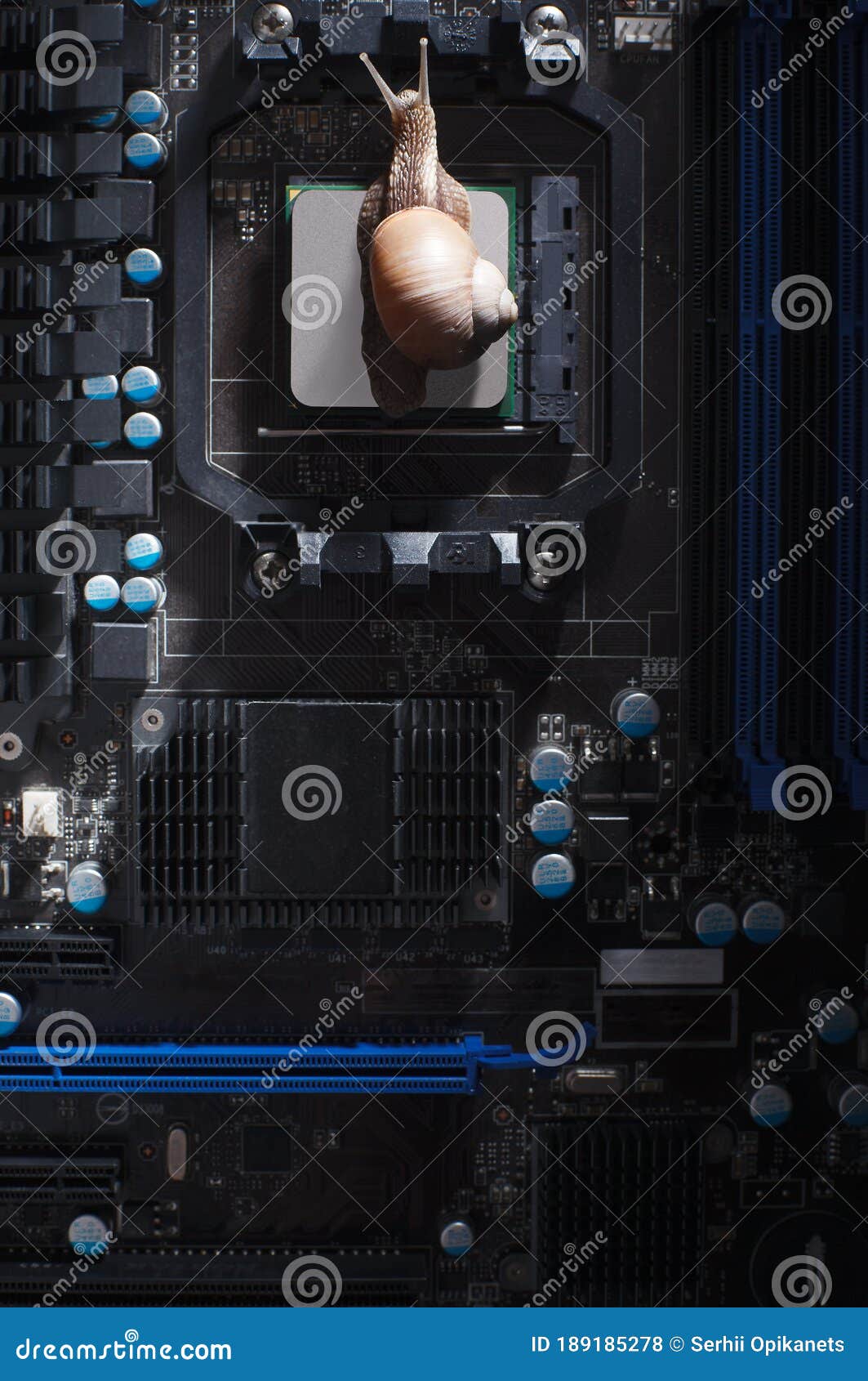 A Snail on the Processor in the Motherboard. Old Computer Stock Photo ...