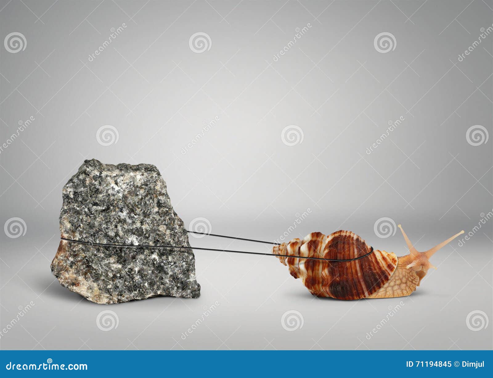 Snail Pulling Big Stone, Slowly Persistence Concept Stock Image - Image ...