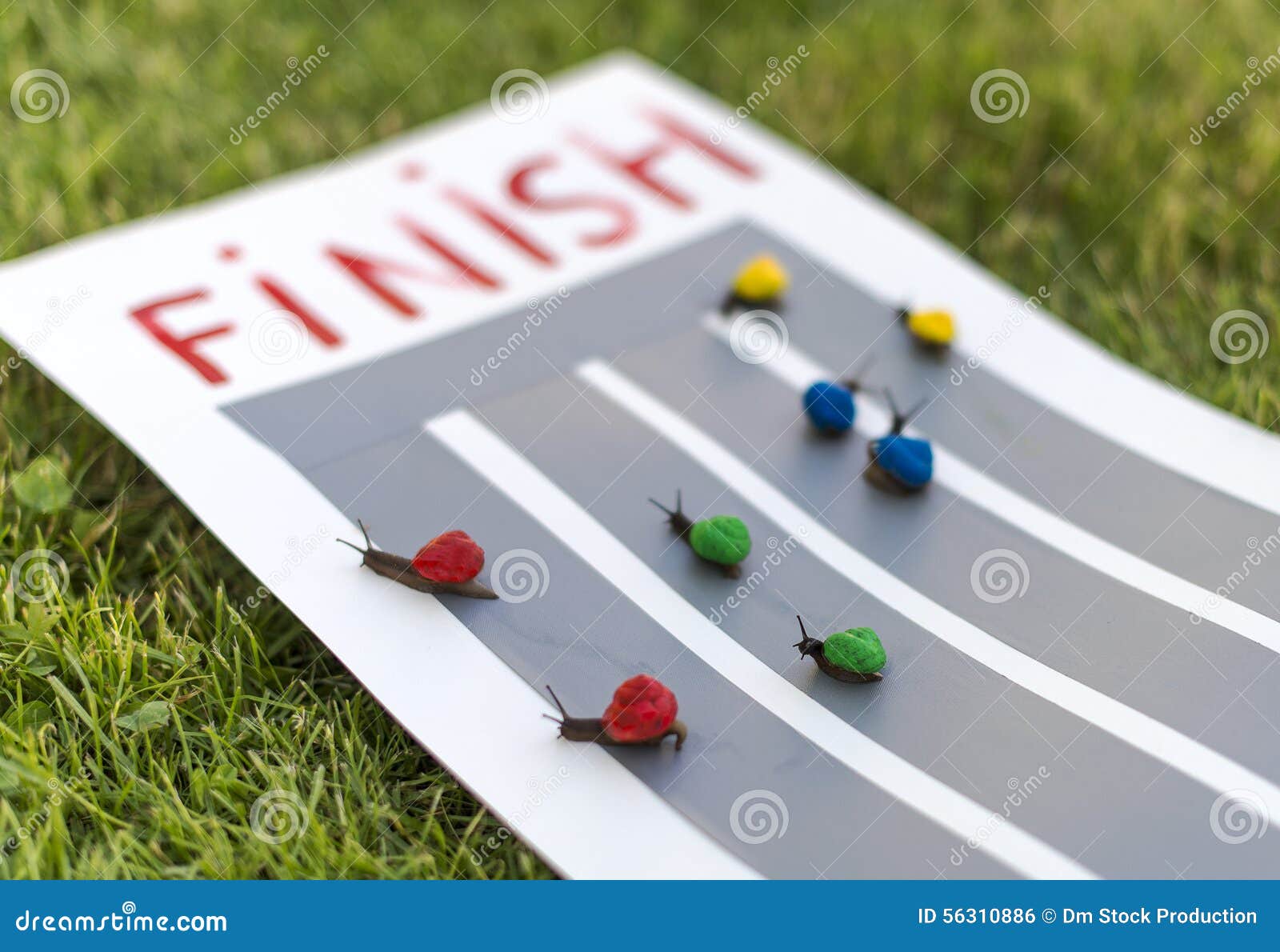 Snail race. stock photo. Image of fast, business, motion - 56310886