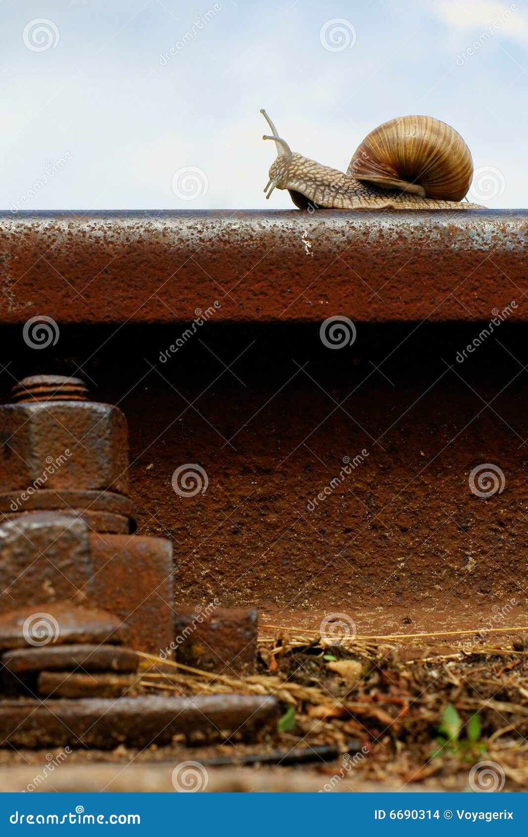 Snail on a railway rail stock photo. Image of closeup - 6690314