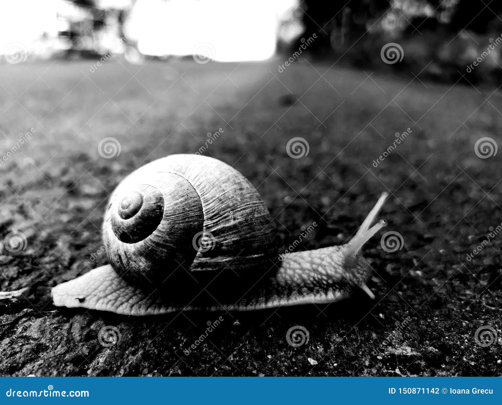 Slowly Moving Water Through The Rocks Stock Photography | CartoonDealer ...