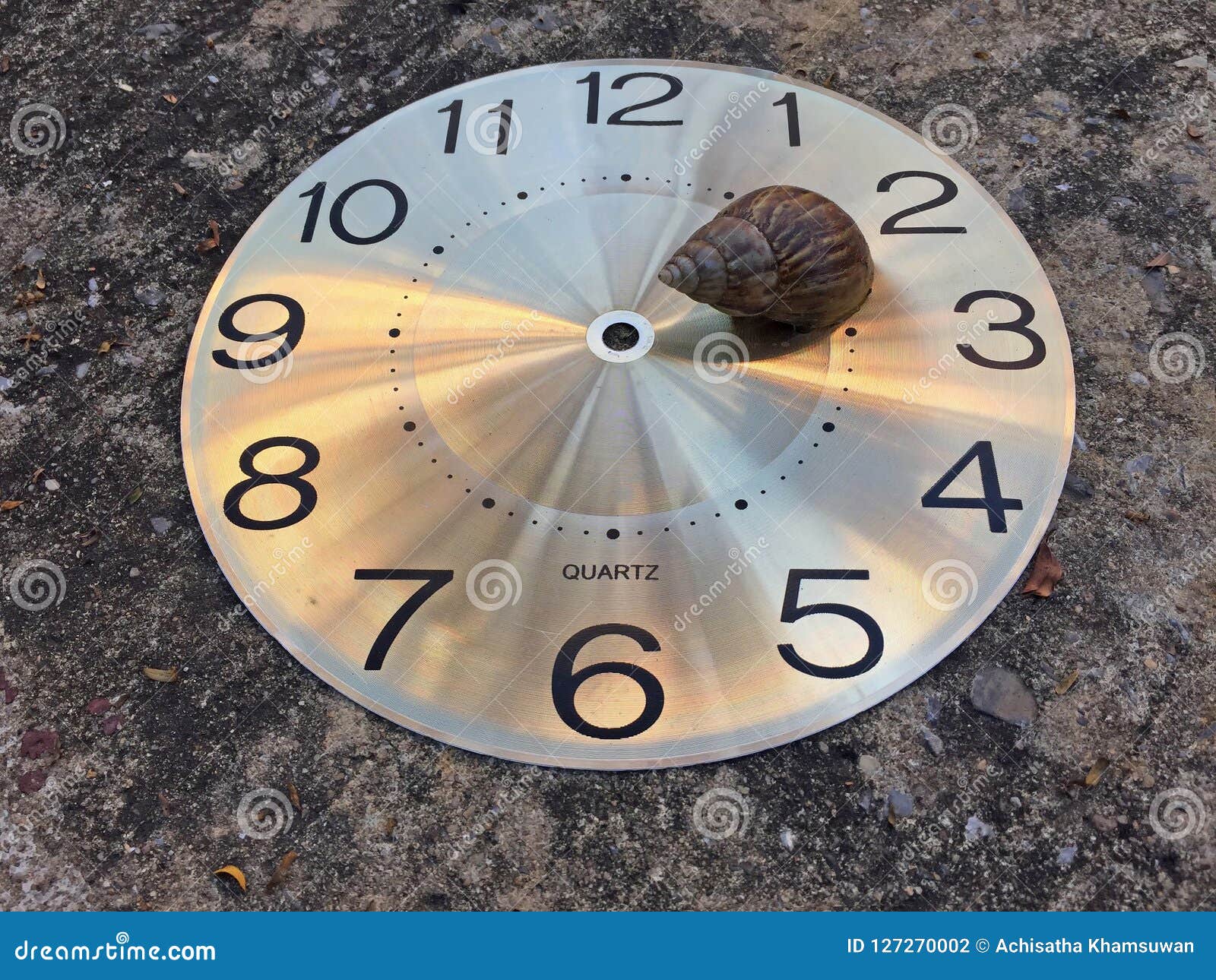 Snail on the Round Watch Face No Clock Hands on the Floor. Stock Photo ...