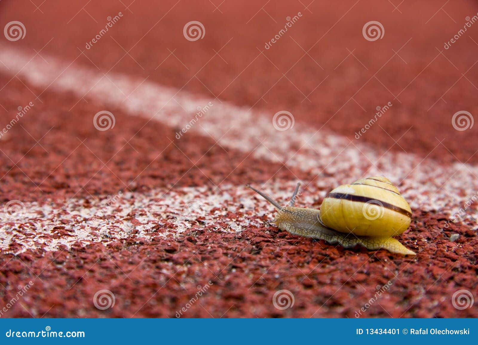 Snail on running track stock image. Image of humorous - 13434401