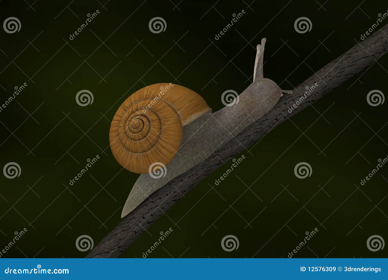 Snail scene stock illustration. Illustration of shell - 12576309