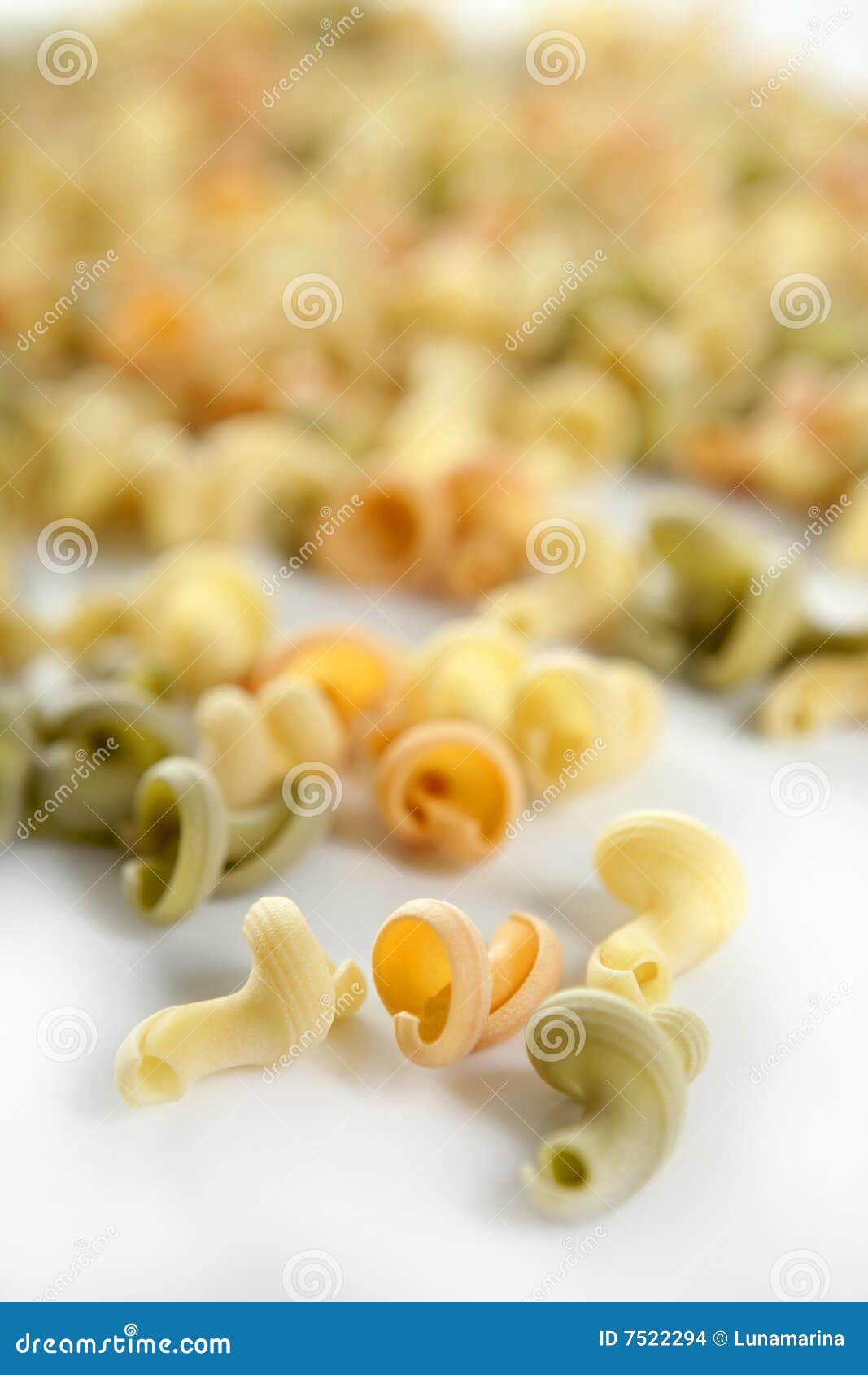 Snail Shape Italian Pasta Texture Stock Photo - Image of closeup ...