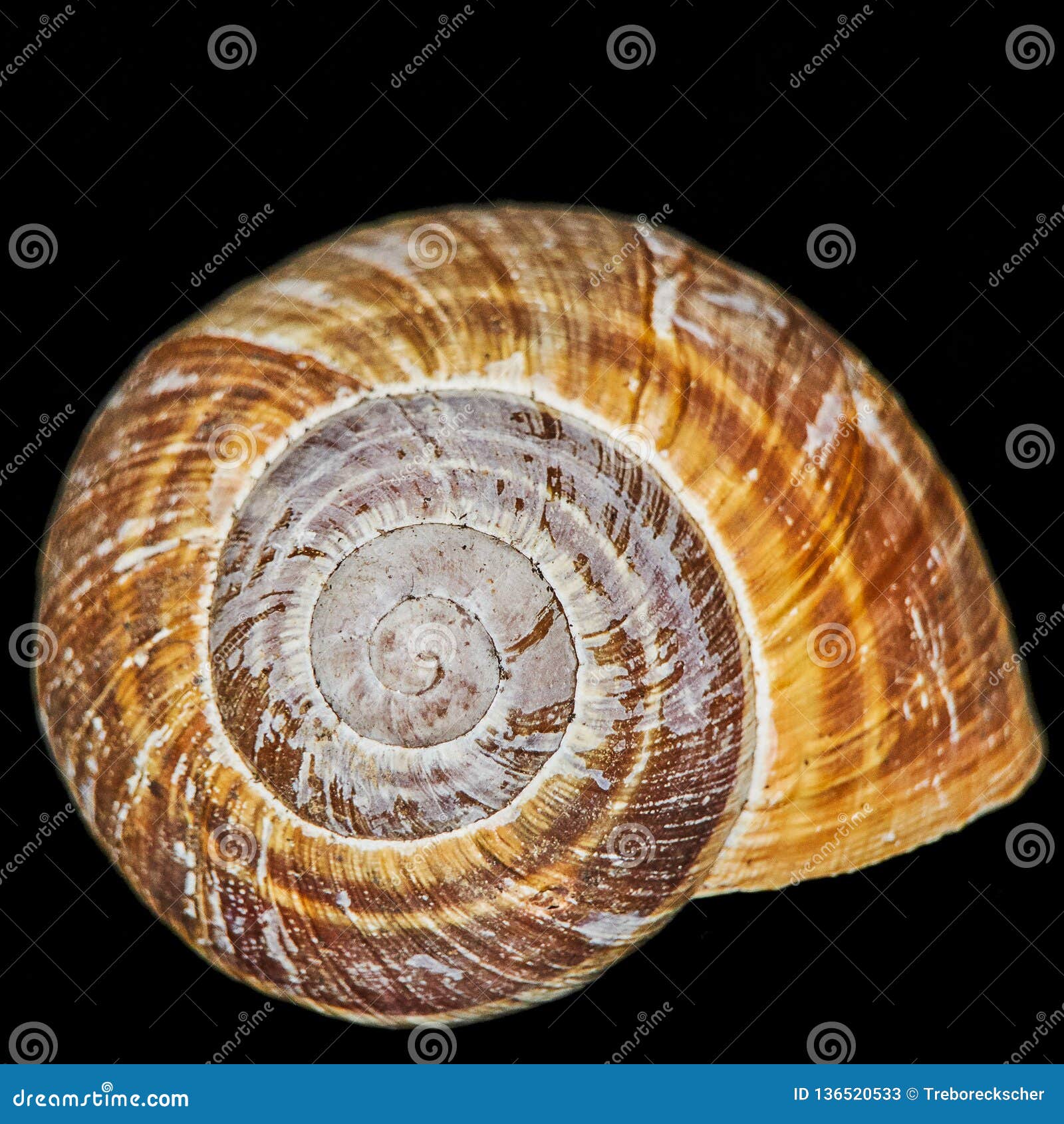 Royalty Free Images, Cartoons, Illustrations And Photos Designed By ...