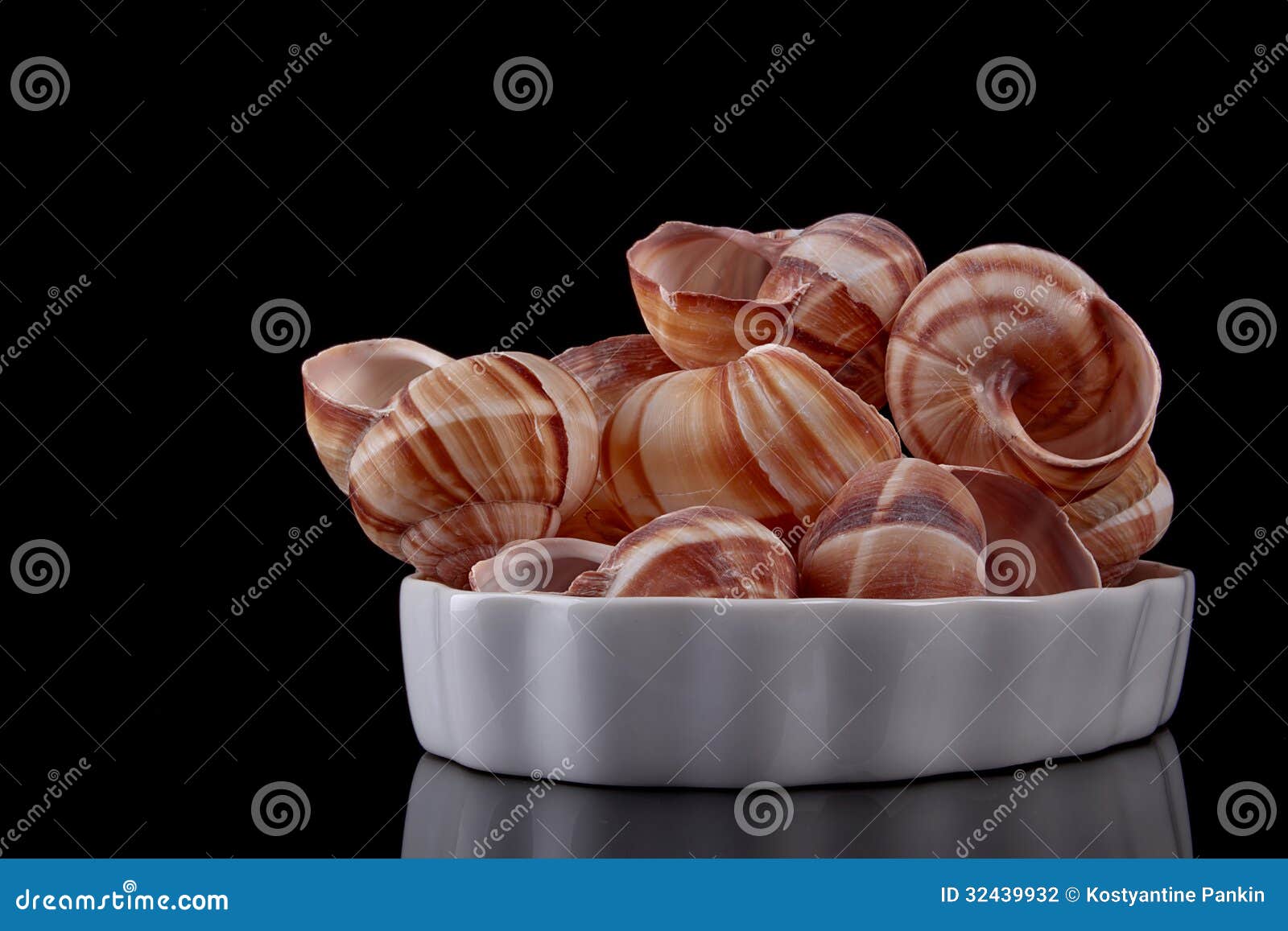 Snail Shell stock photo. Image of details, food, close - 32439932