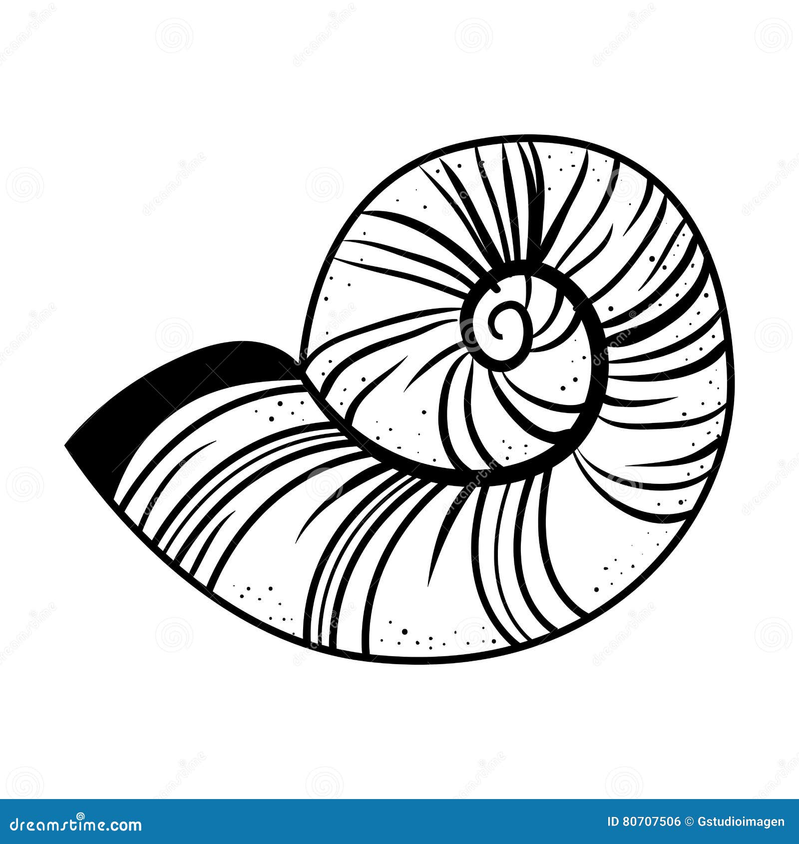 Snail shell isolated icon stock vector. Illustration of geometric ...