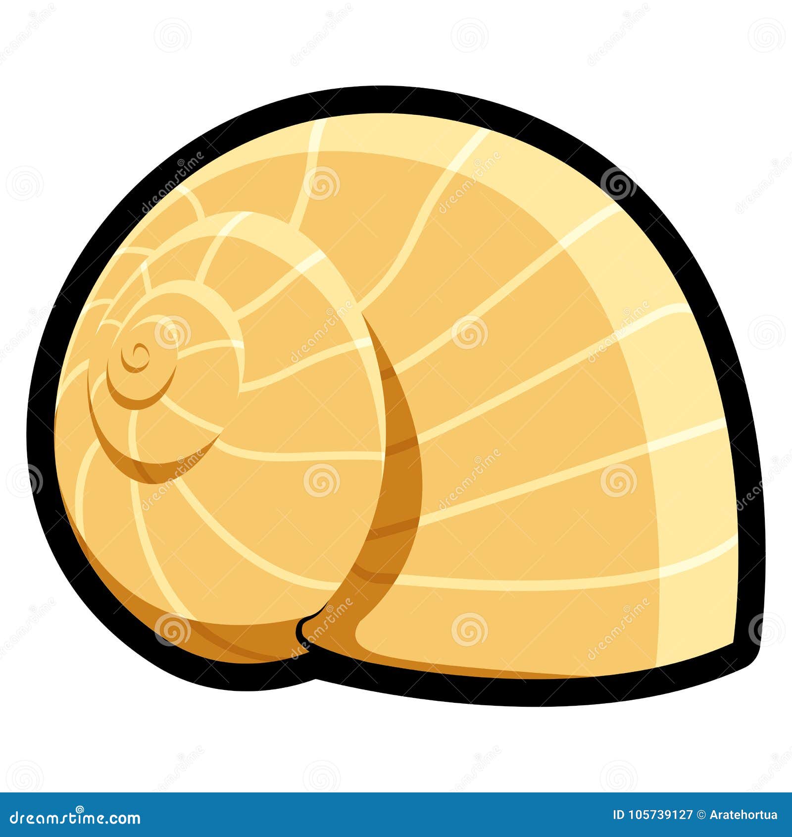 Snail Shell Isolated on White Background Stock Illustration ...