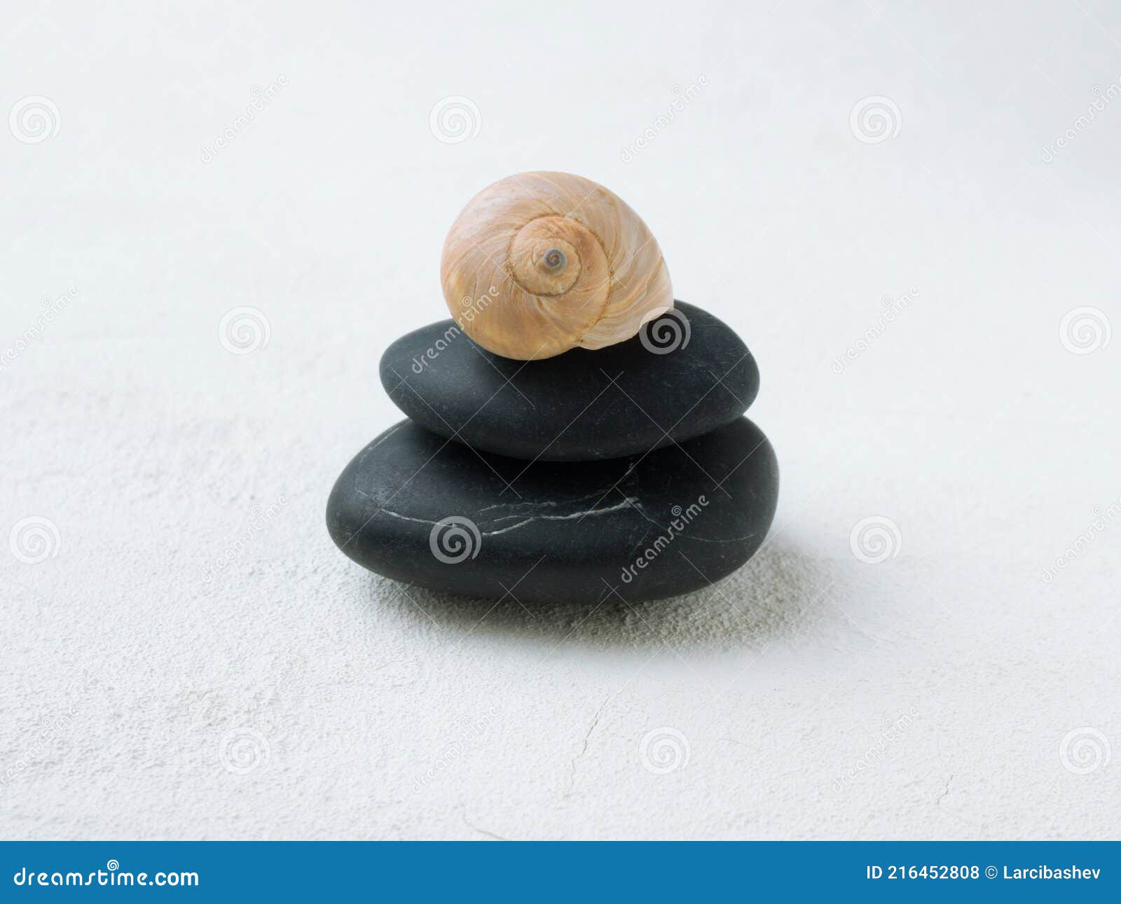Snail Shell on Pebble Stack. Stock Photo - Image of carbonate, animal ...