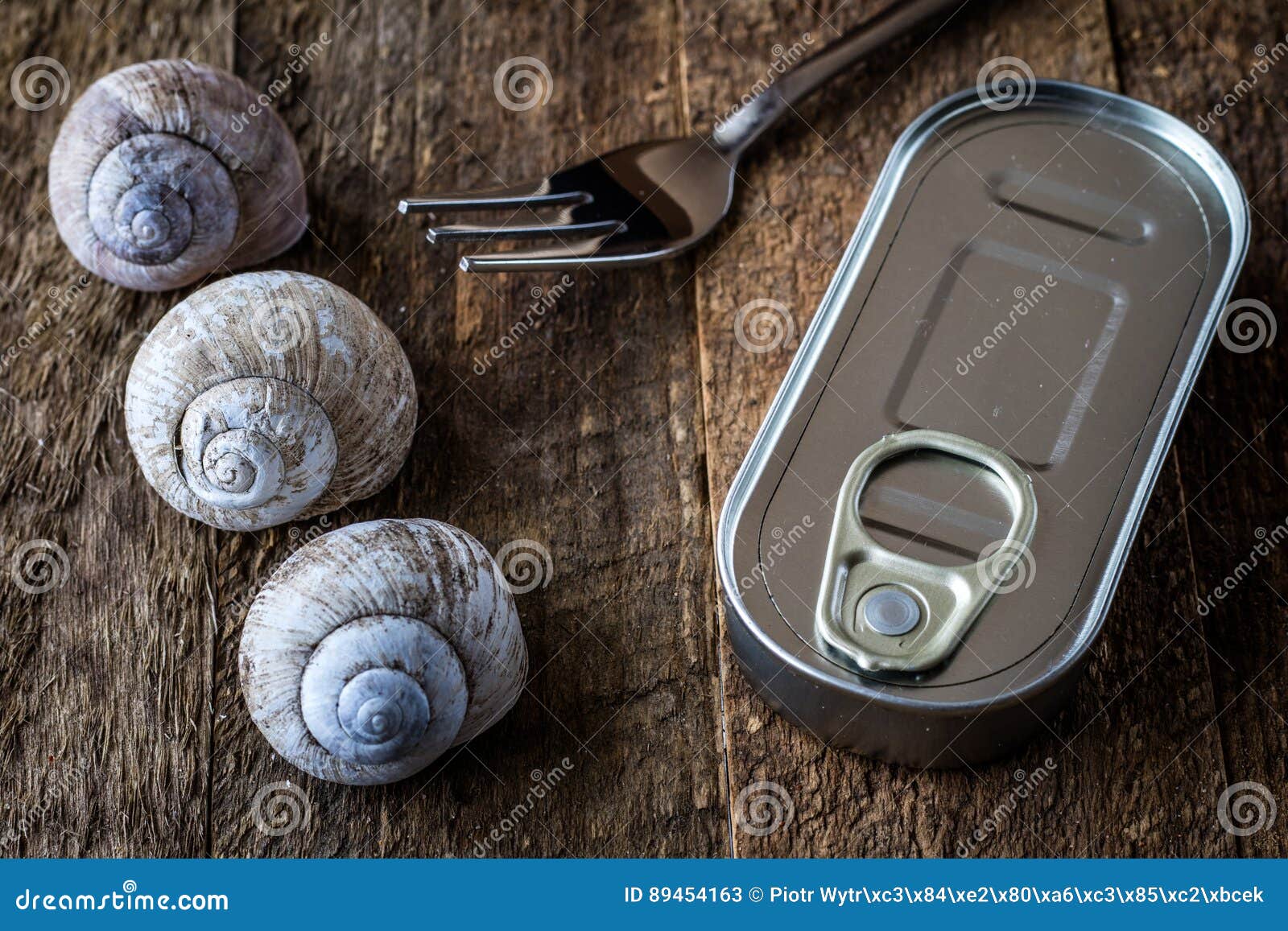 Snail Shell and Tin Can on a Wooden Old Table Stock Image - Image of ...