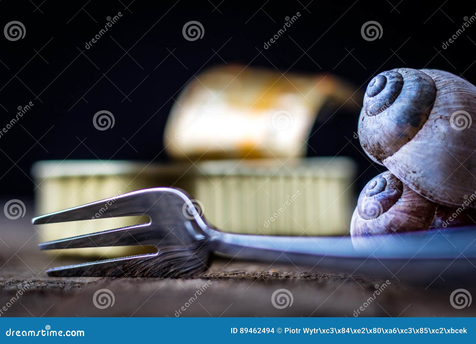 Snail Shell and Tin Can on a Wooden Old Table Stock Photo - Image of ...