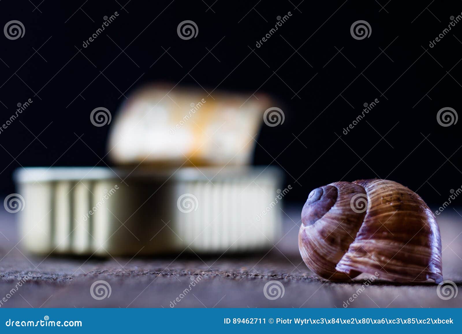 Snail Shell and Tin Can on a Wooden Old Table Stock Image - Image of ...