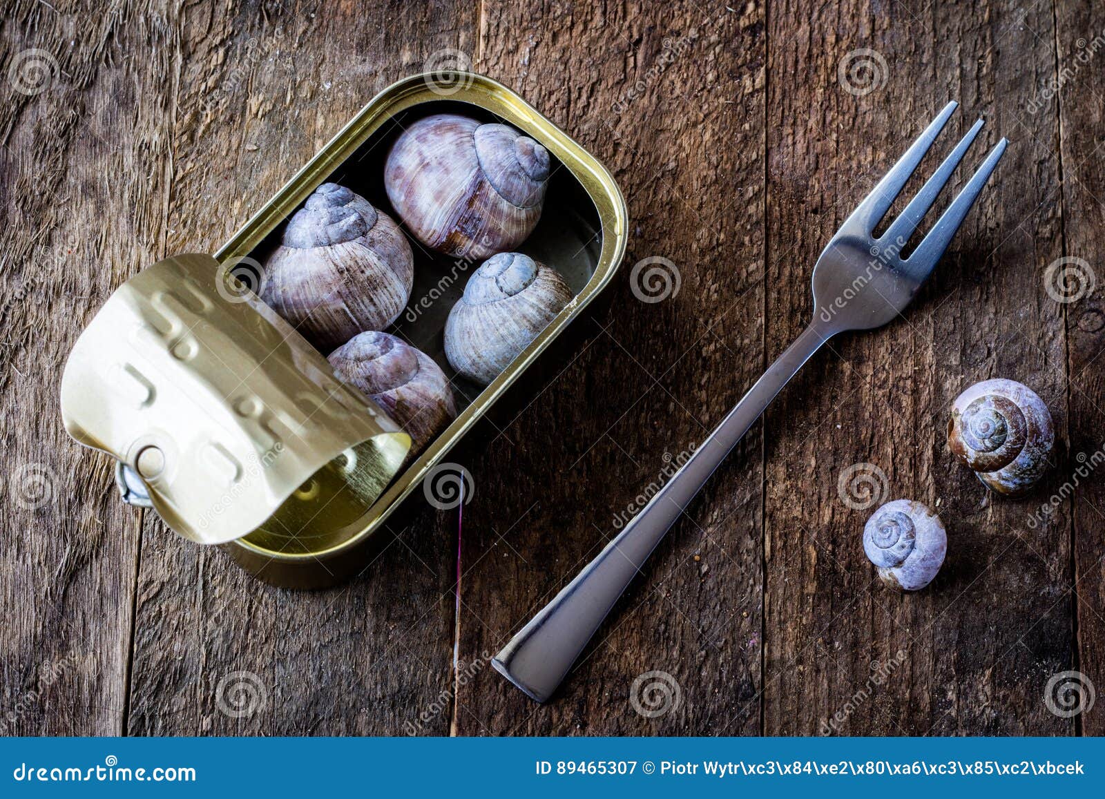Snail Shell and Tin Can on a Wooden Old Table Stock Image - Image of ...