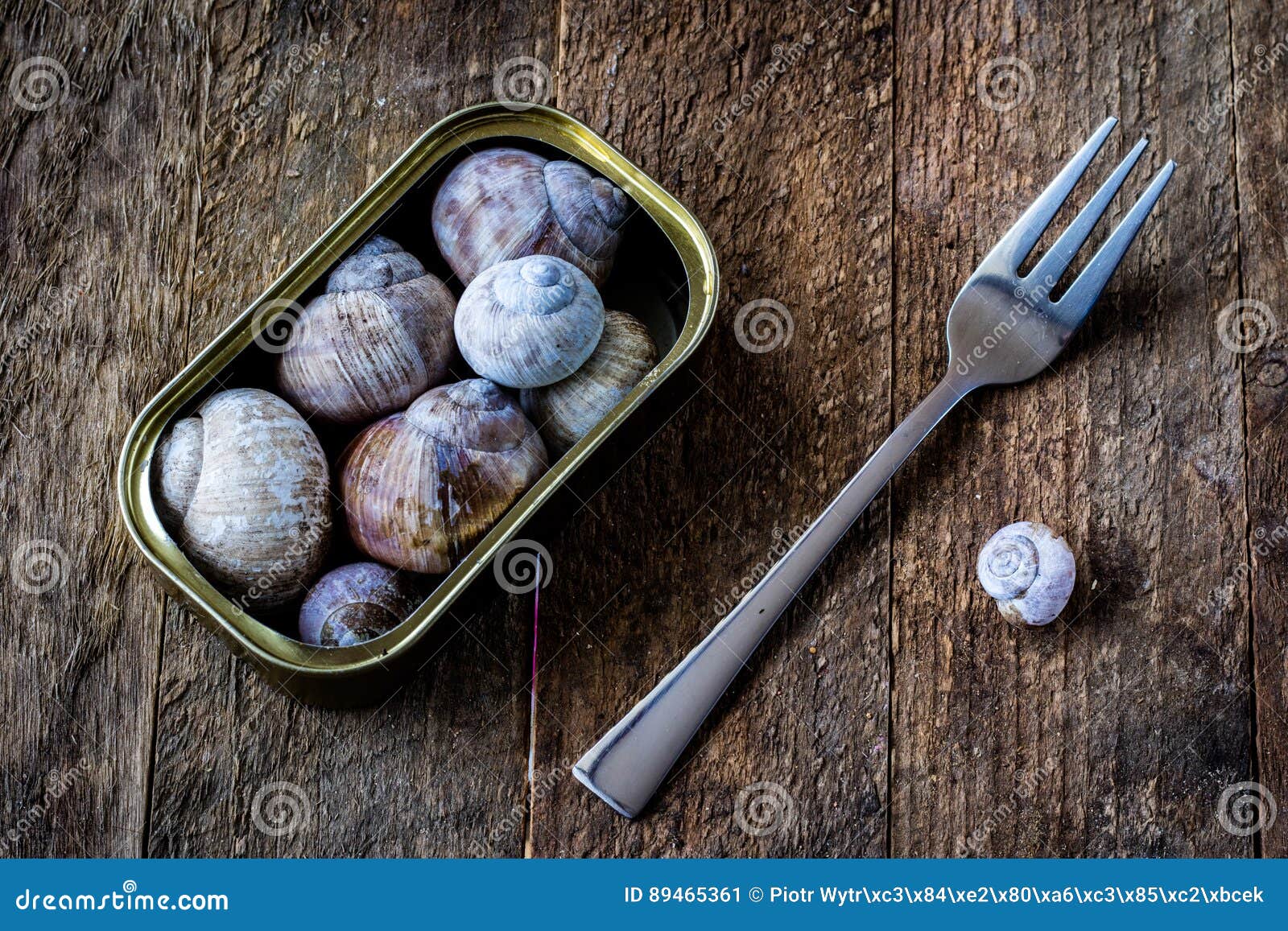 Snail Shell and Tin Can on a Wooden Old Table Stock Image - Image of ...