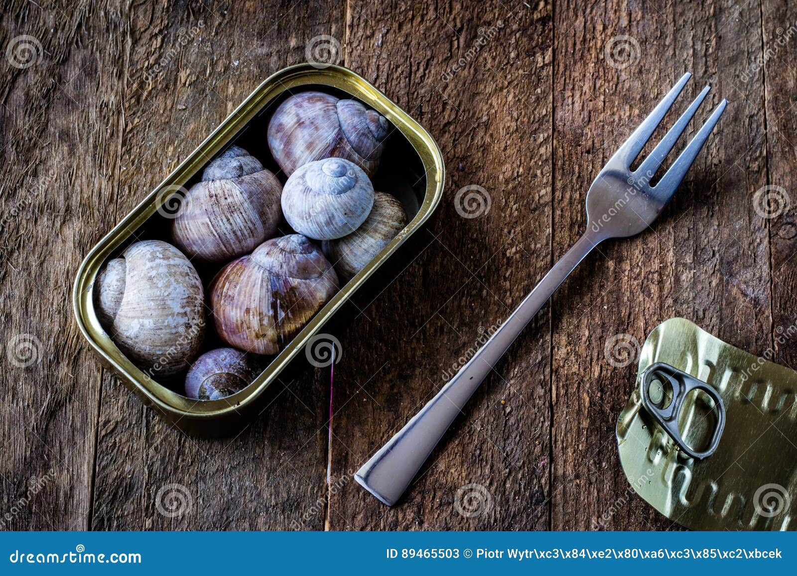 Snail Shell and Tin Can on a Wooden Old Table Stock Image - Image of ...