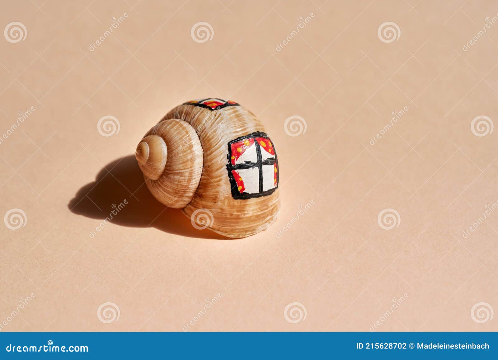 A Snail Shell with a Window Painted on it Stock Photo - Image of nature ...