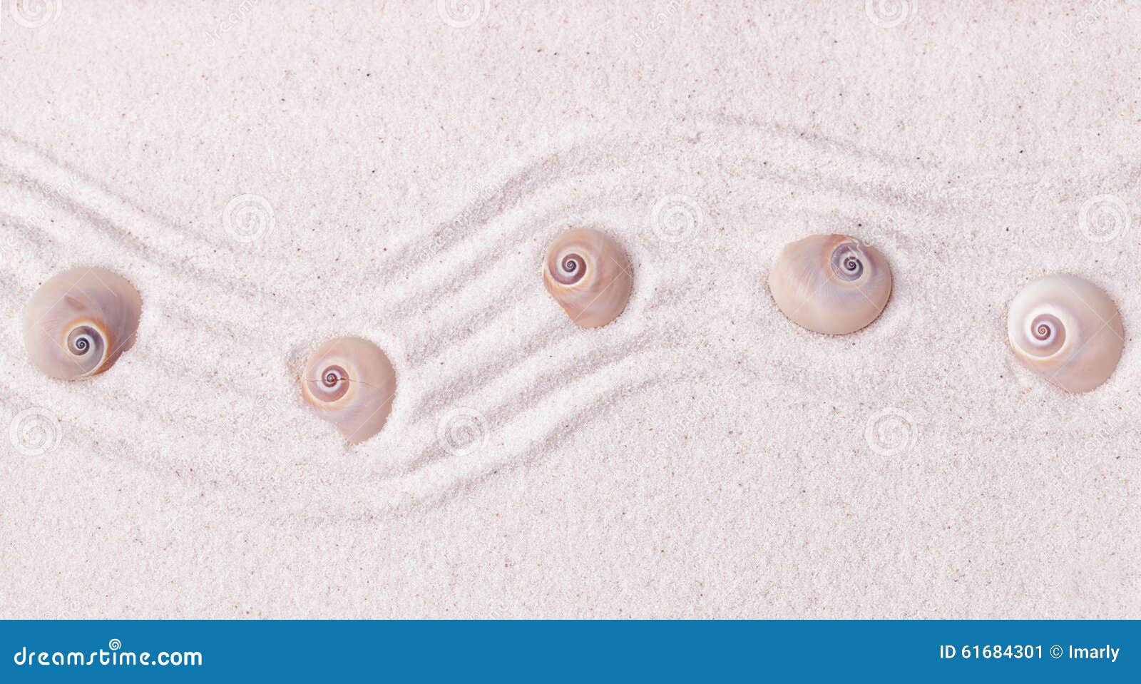 Snail Shells Half Buried Under the Fine Sand of the Zen Garden Stock ...