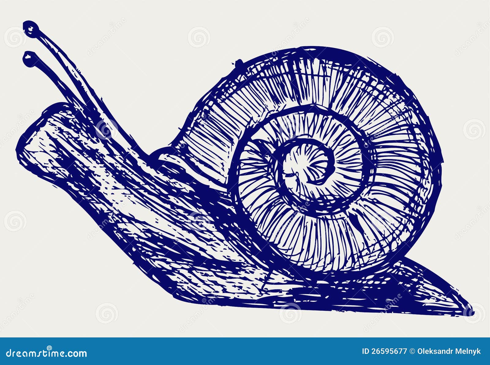 Snail Drawing Outline