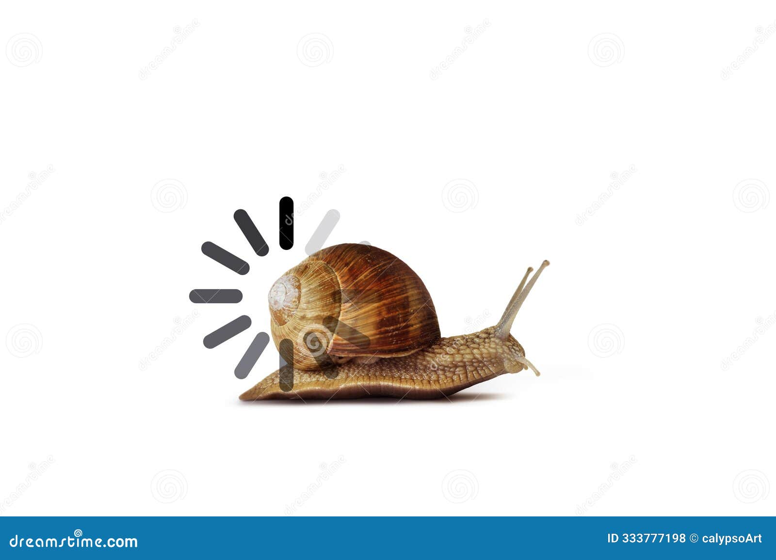 Snail with Slow Progress Loading Bar on White Background - Concept of ...