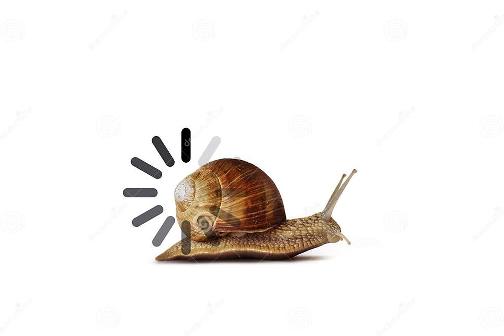 Snail with Slow Progress Loading Bar on White Background - Concept of ...