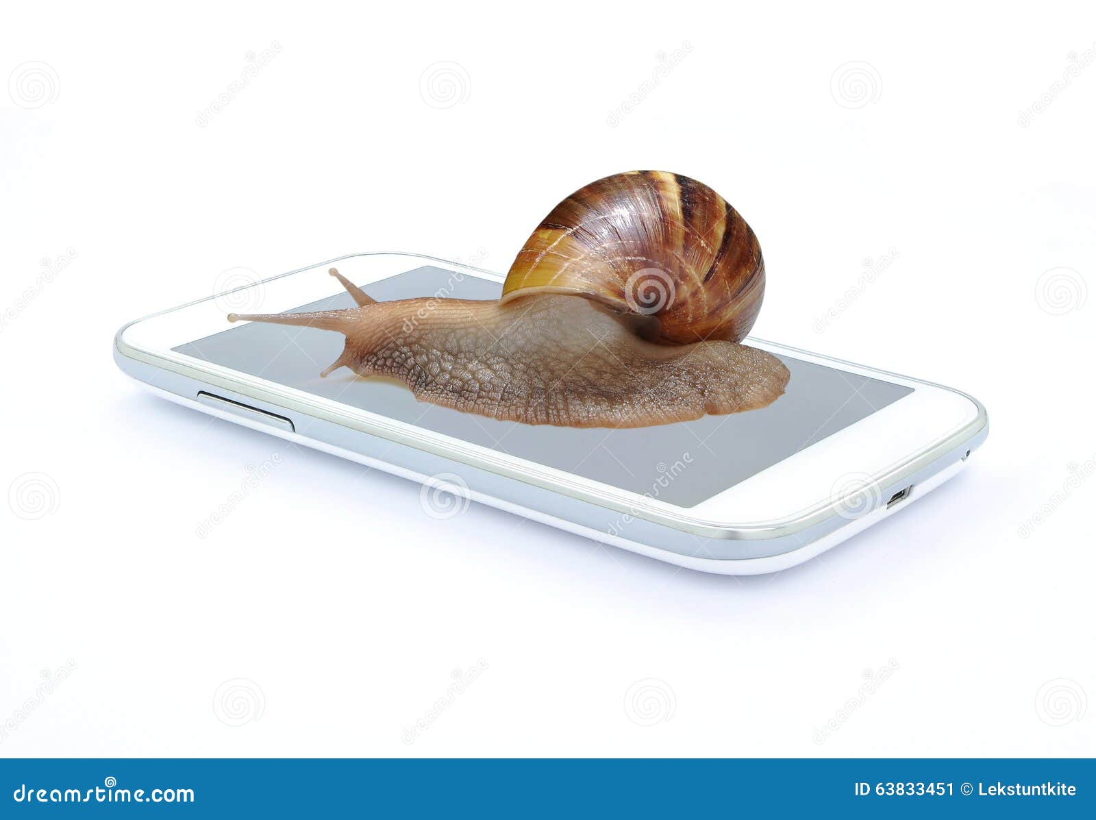 Snail on Smart Phone on White Background Stock Image - Image of screen ...