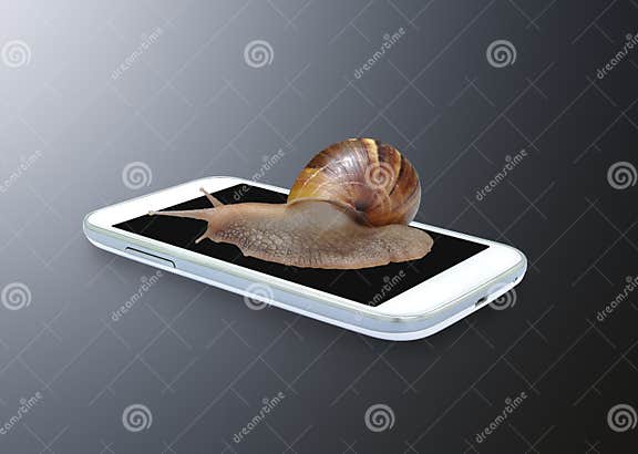 Snail on smartphone stock image. Image of single, cellphone - 63833277