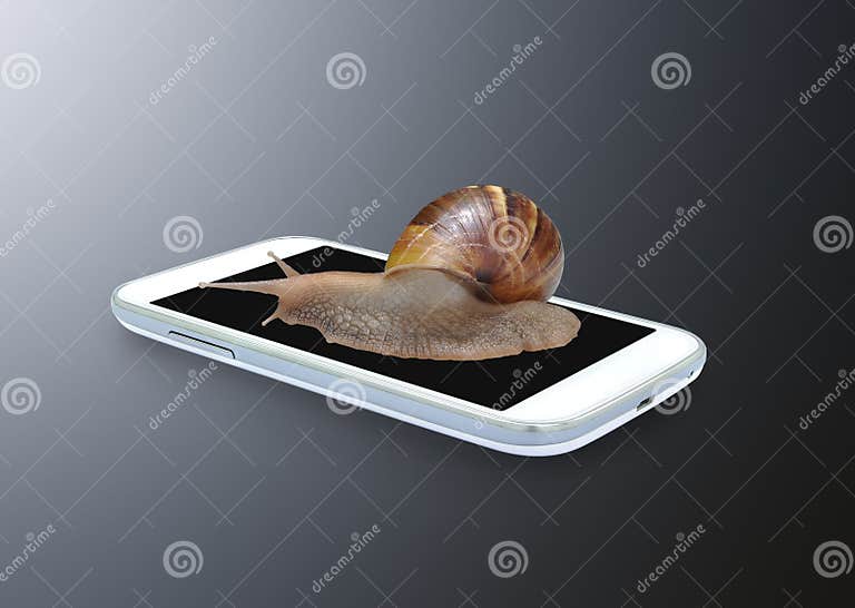 Snail on smartphone stock image. Image of single, cellphone - 63833277