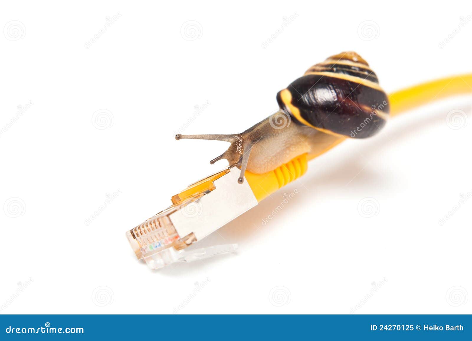 Snail Speed in the Network Connection Stock Image - Image of speed ...
