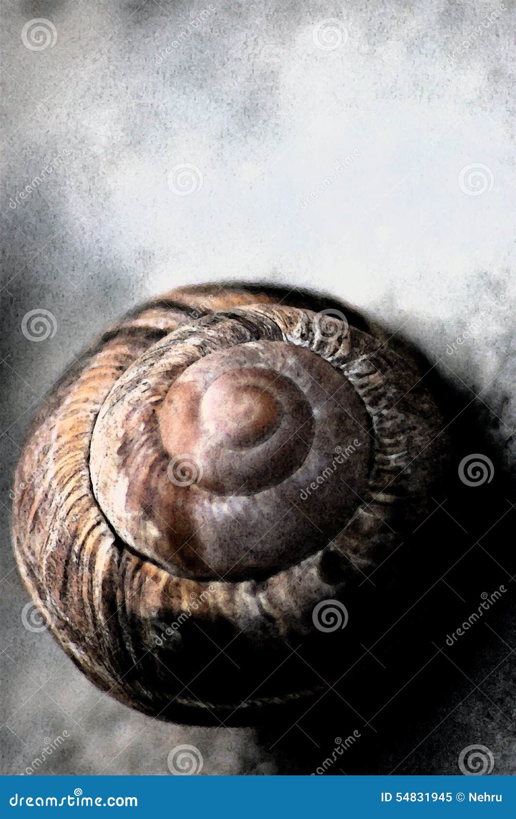Snail spiral shell stock illustration. Illustration of nature - 54831945