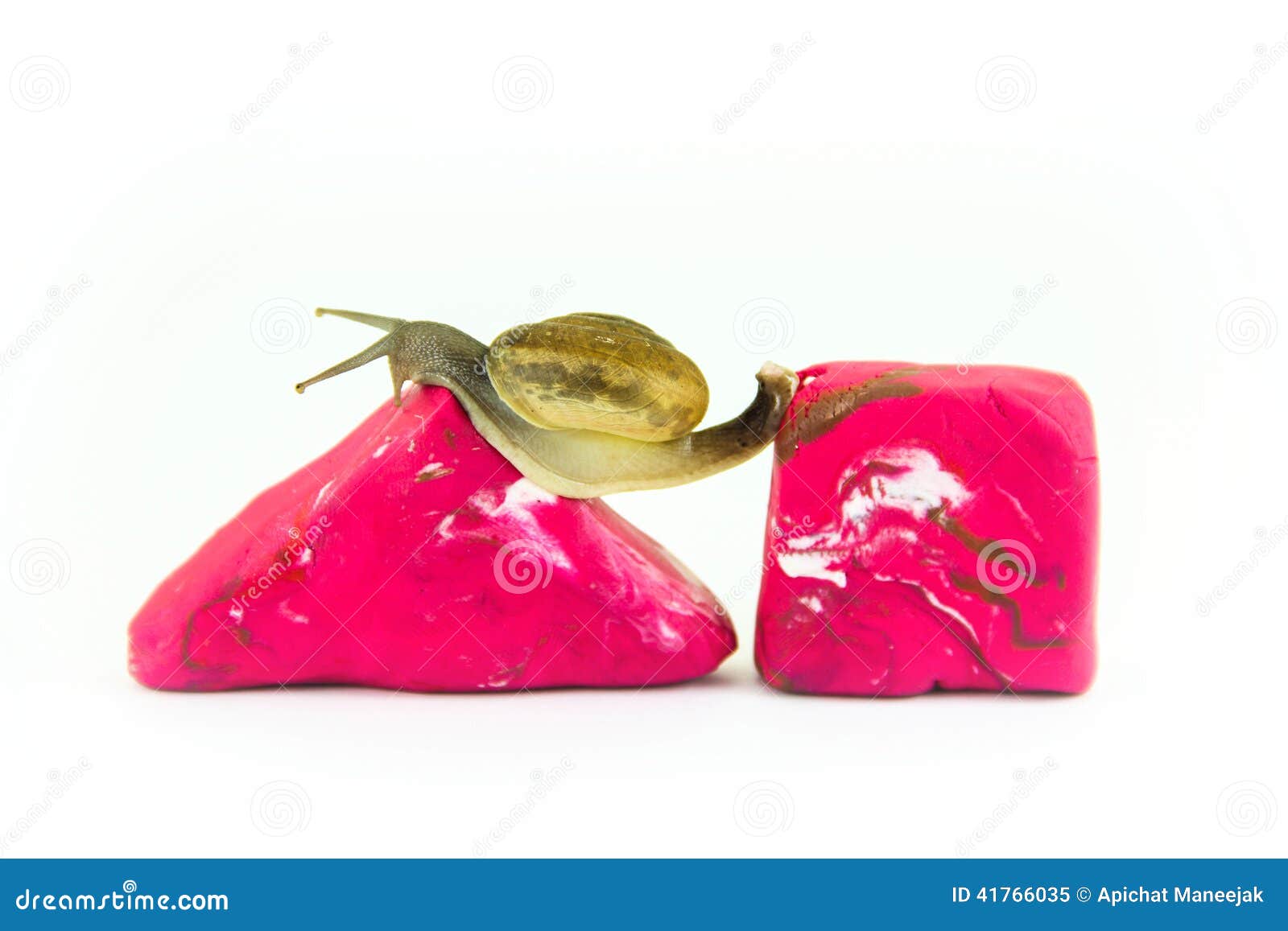 Snail on square triangle stock image. Image of brown - 41766035