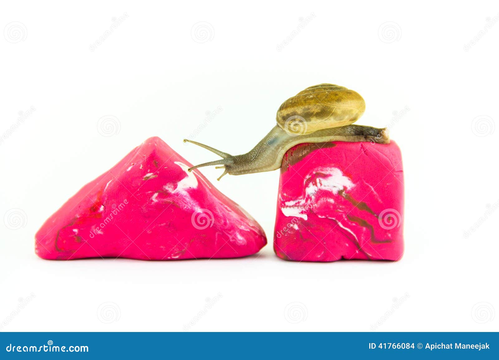 Snail on Square and Triangle Stock Photo - Image of close, brown: 41766084