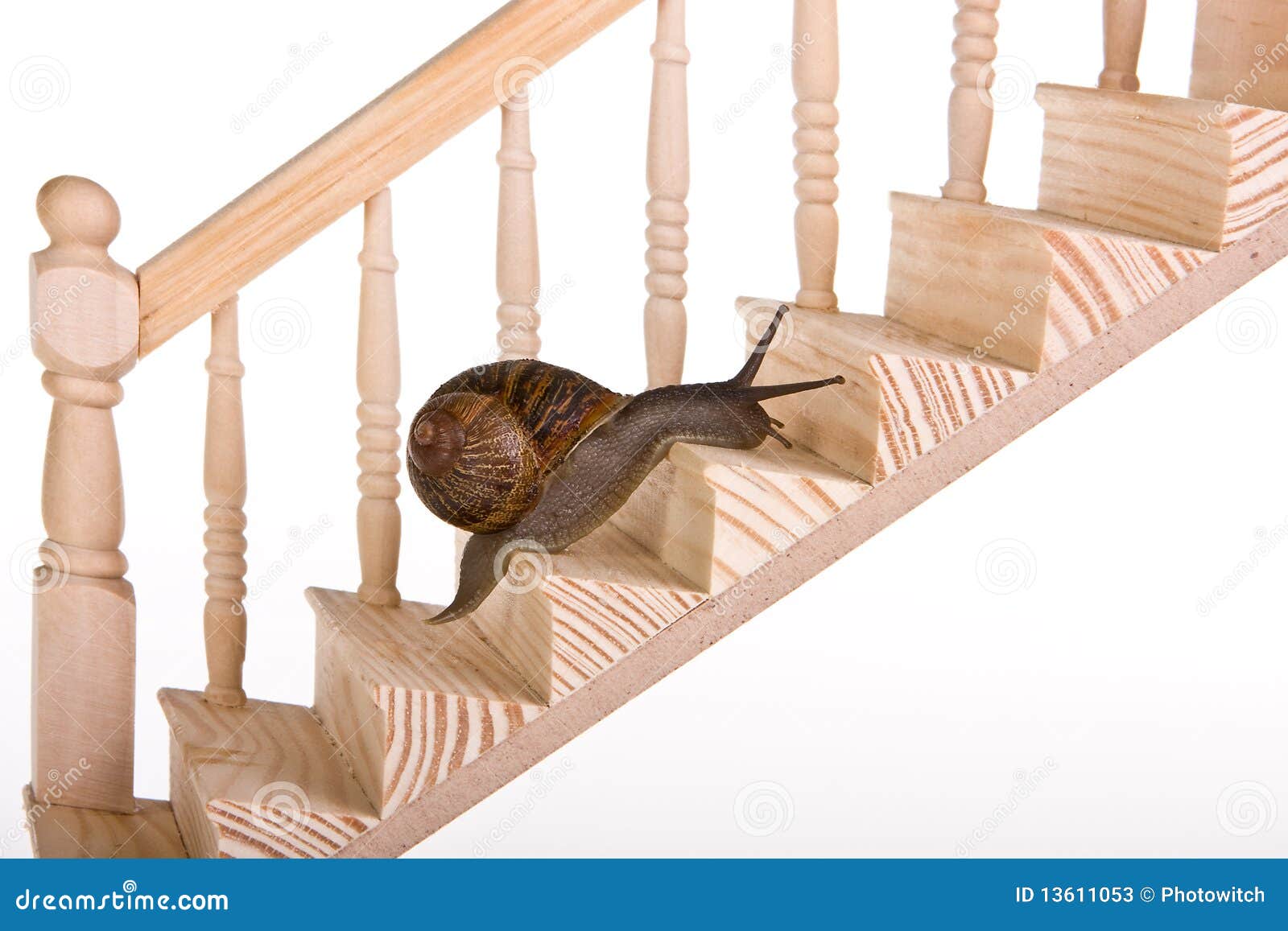 Snail on stairs stock image. Image of reach, patience - 13611053
