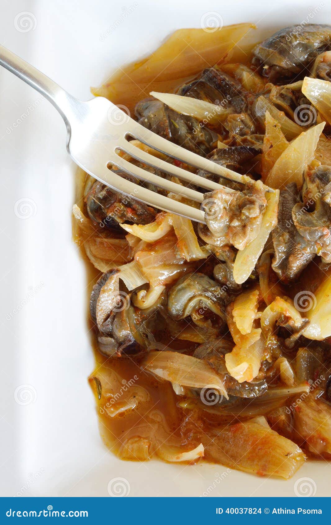 Snail stew stock photo. Image of cuisine, salingaria - 40037824
