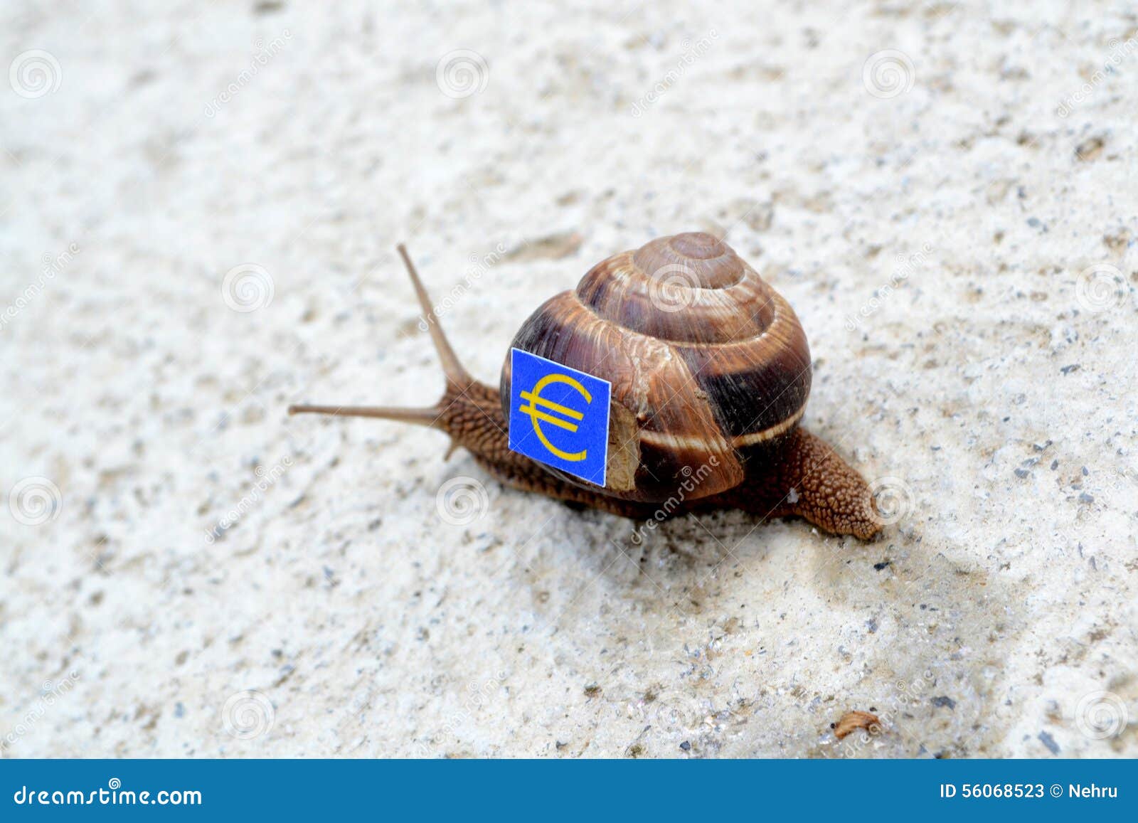 Snail with with Symbols of Money on a Shell Stock Image - Image of ...