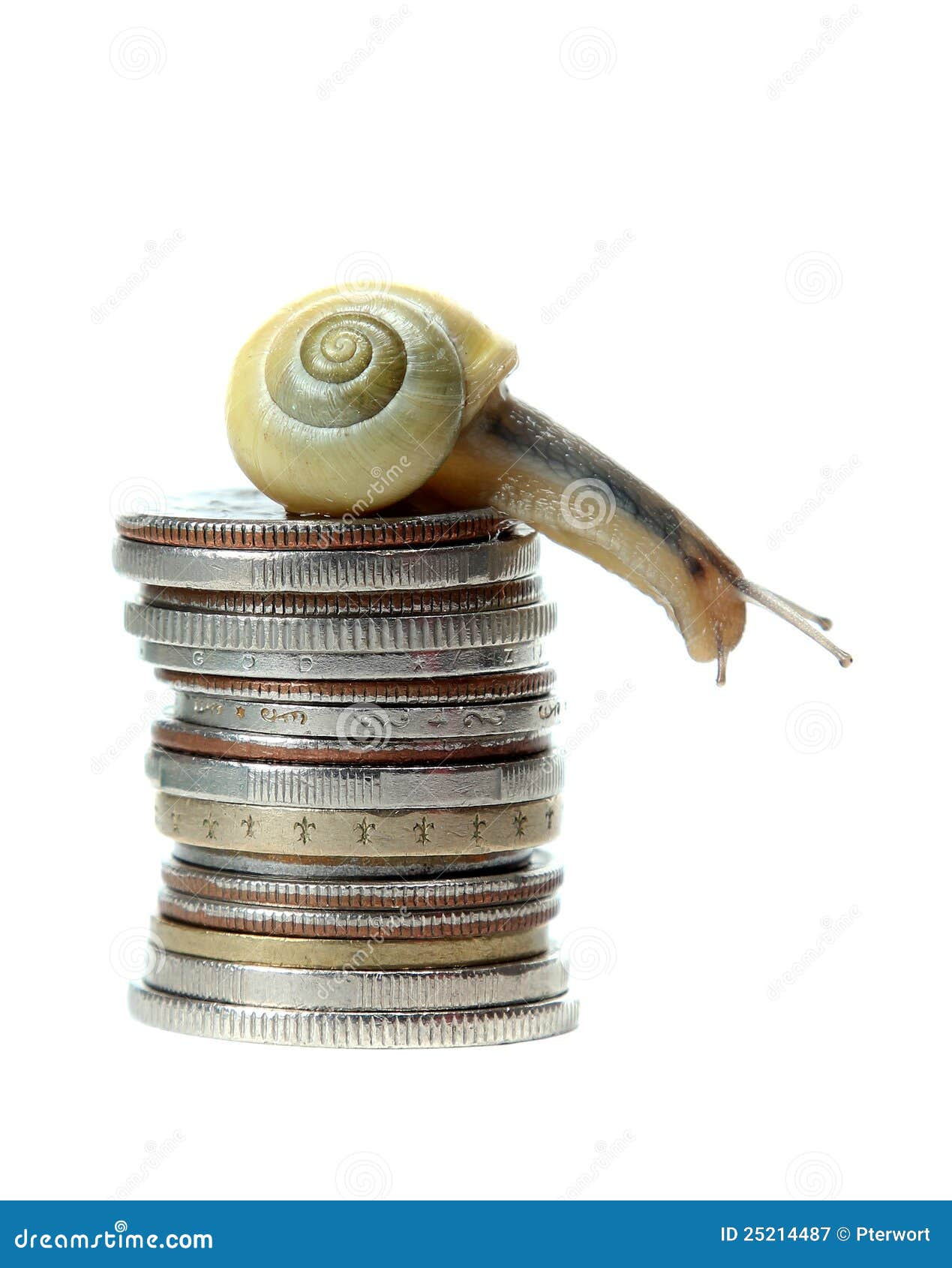 Snail on top of coins stock image. Image of exchange - 25214487