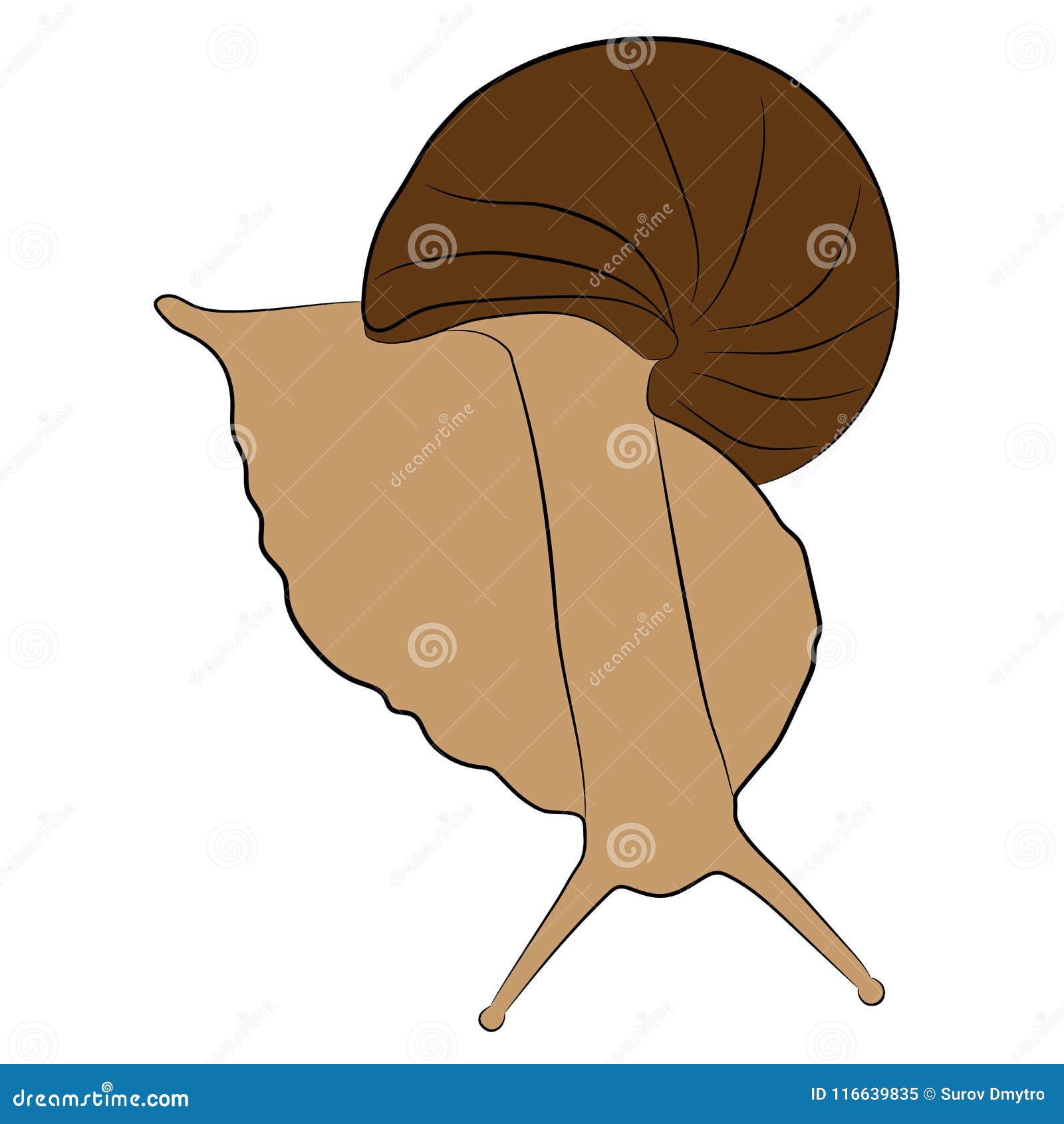 Snail Vector Drawing Illustration Stock Illustration - Illustration of ...
