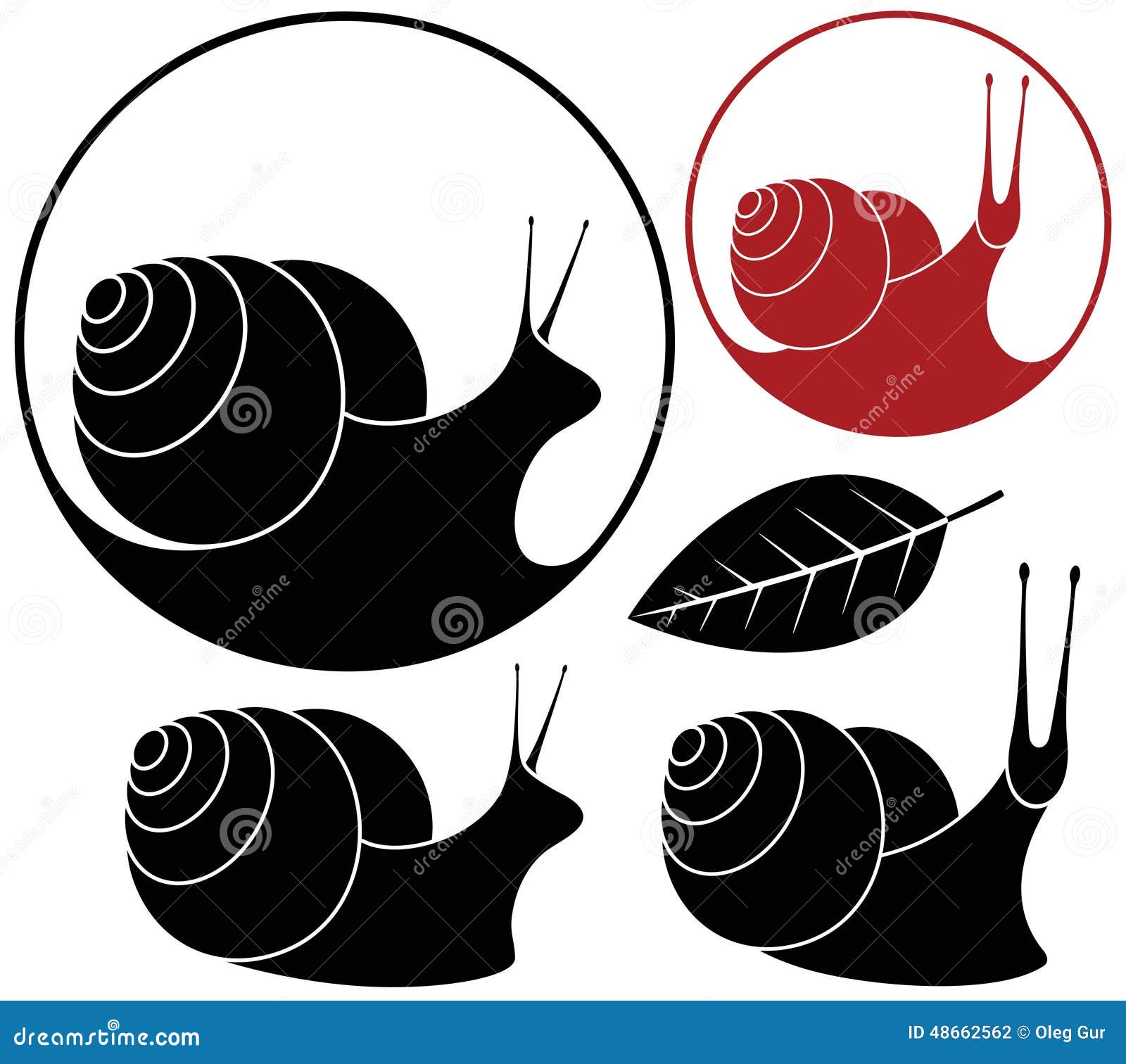 Snail stock vector. Illustration of unusual, shells, symbol - 48662562