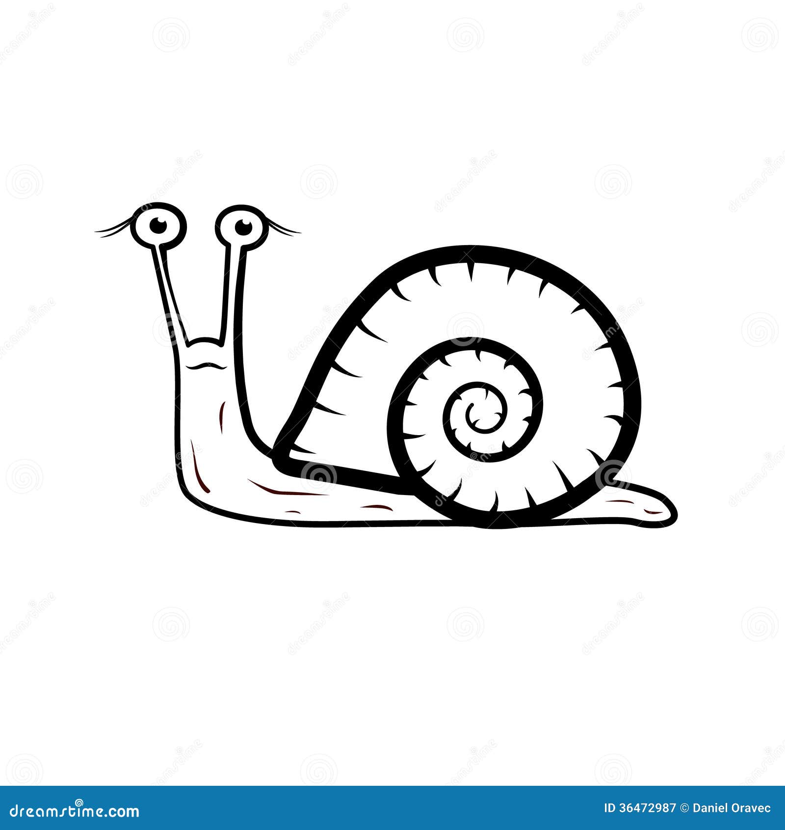 Snail Vector Illustration stock vector. Illustration of slip - 36472987