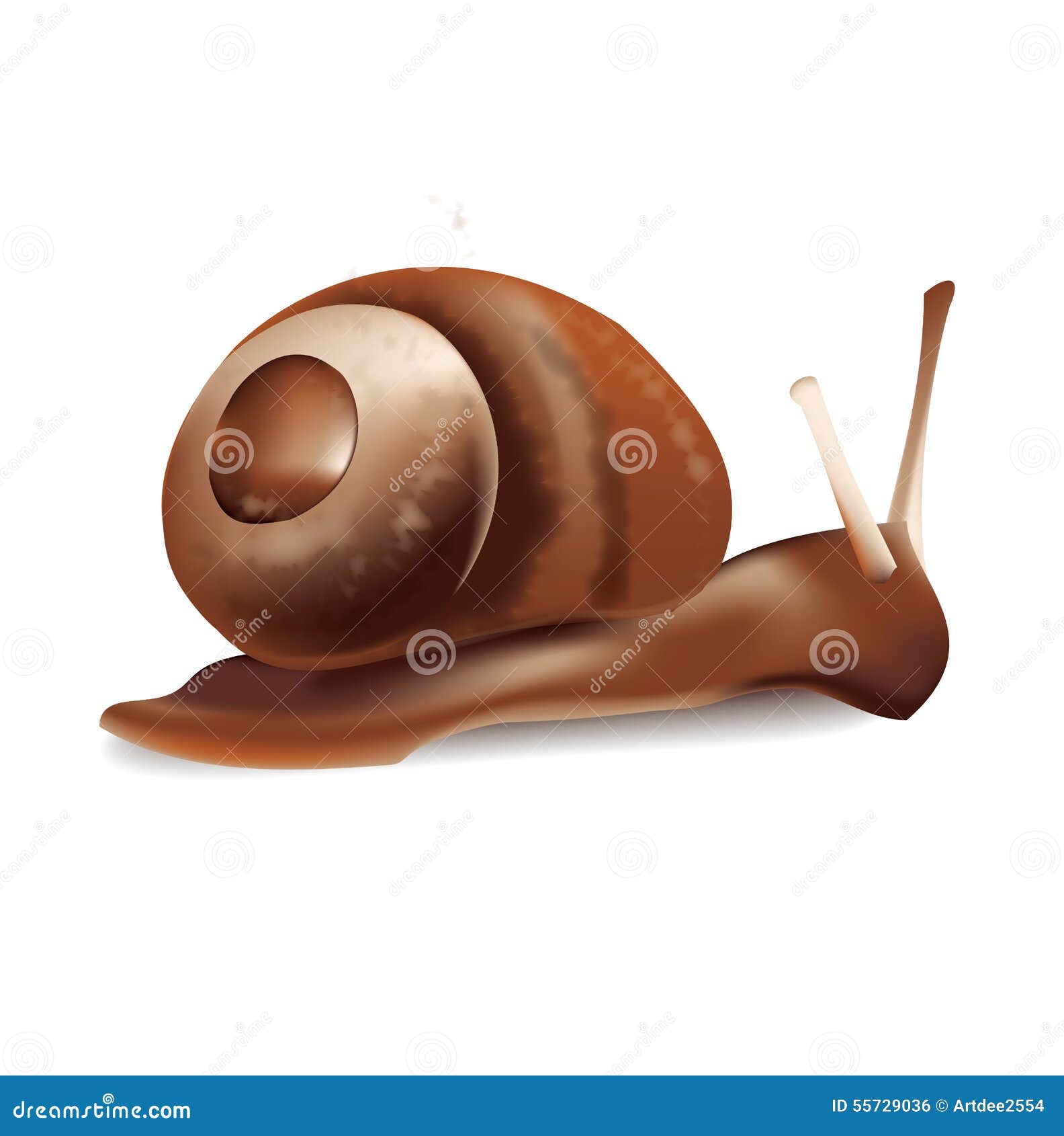 Snail (vector Clip-art) | CartoonDealer.com #3279572