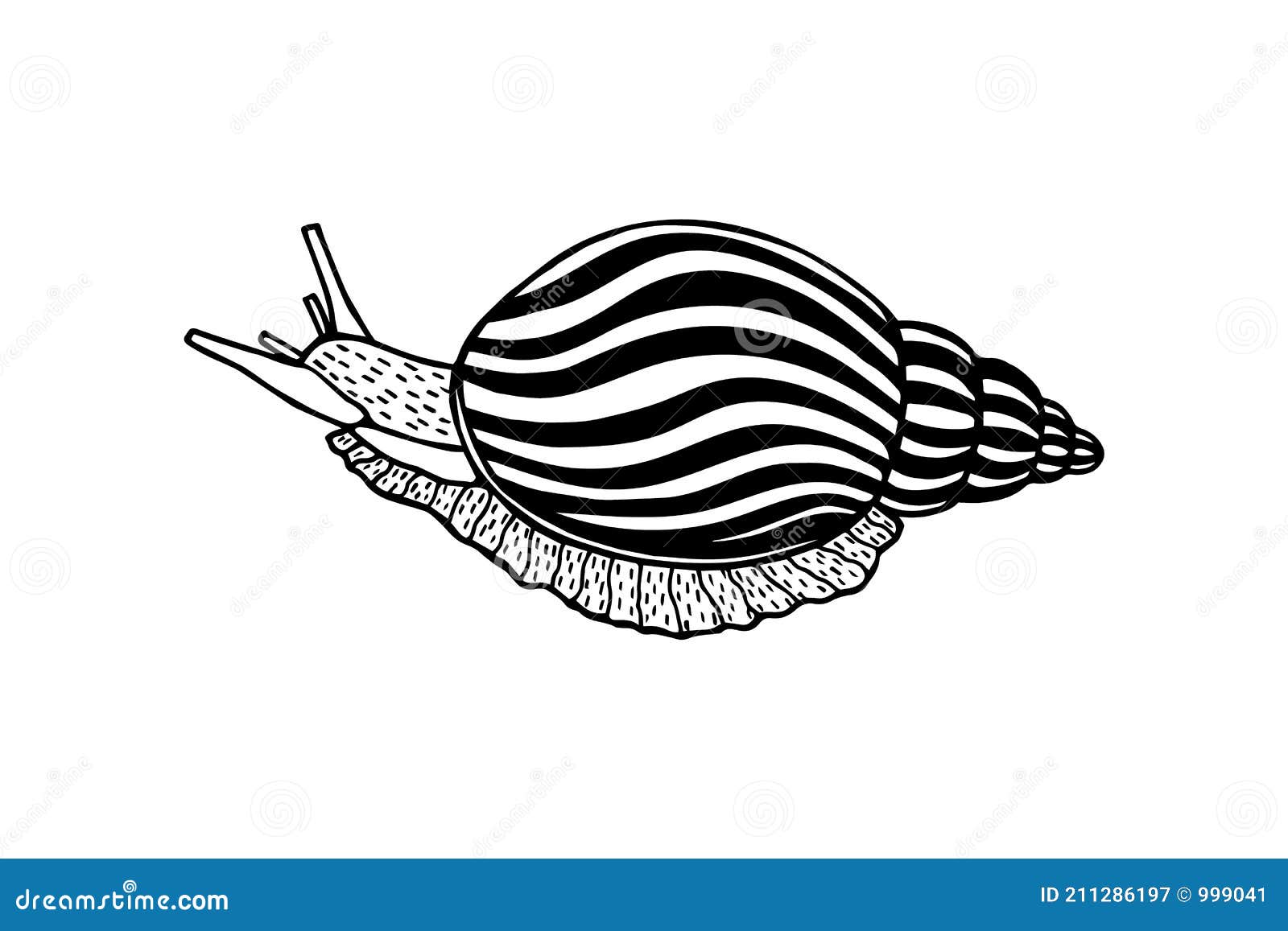 Snail. Vector Stock Illustration Eps10. Isolate on White Background ...