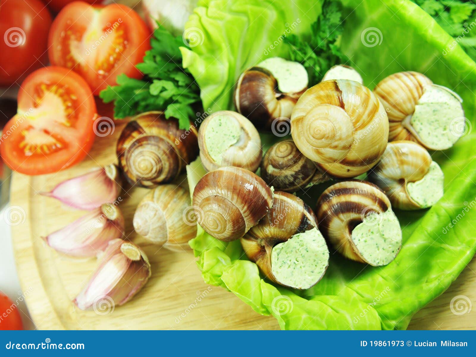 Snails stock image. Image of plate, appetizers, natural - 19861973