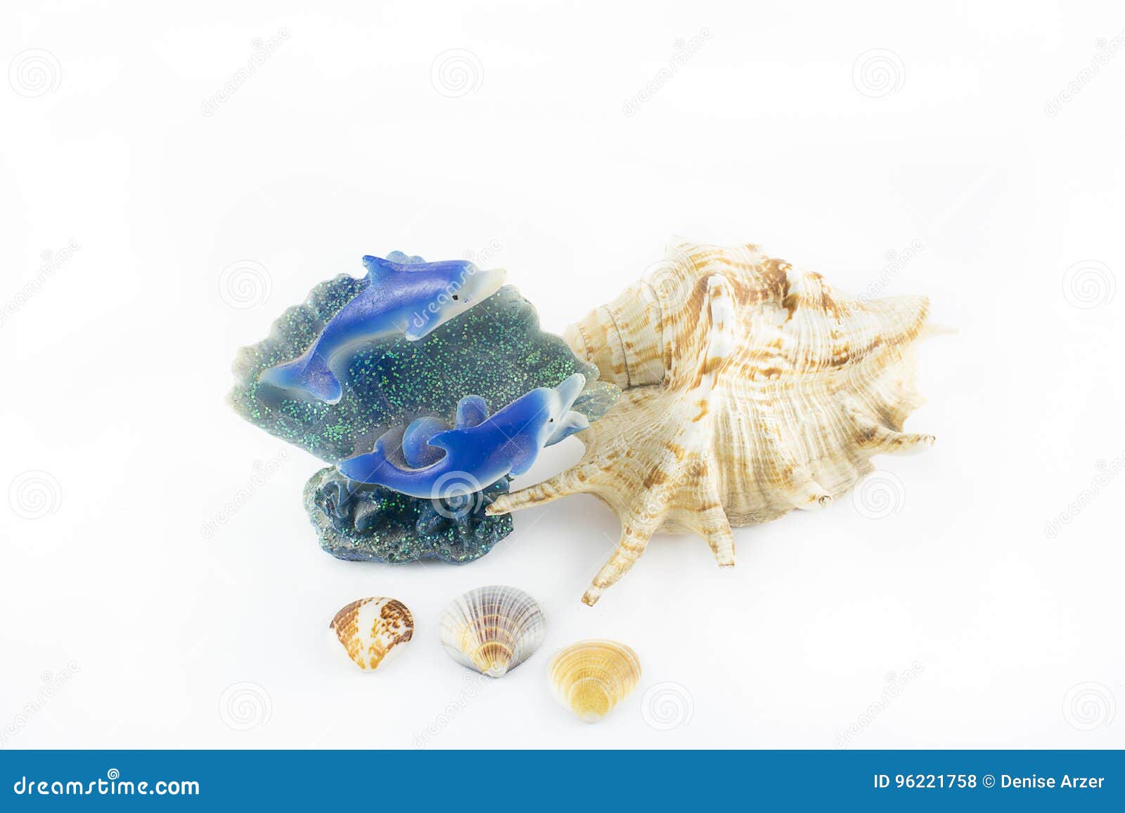 Snails and Adornment with Dolphins. Stock Photo - Image of sizes, gift ...