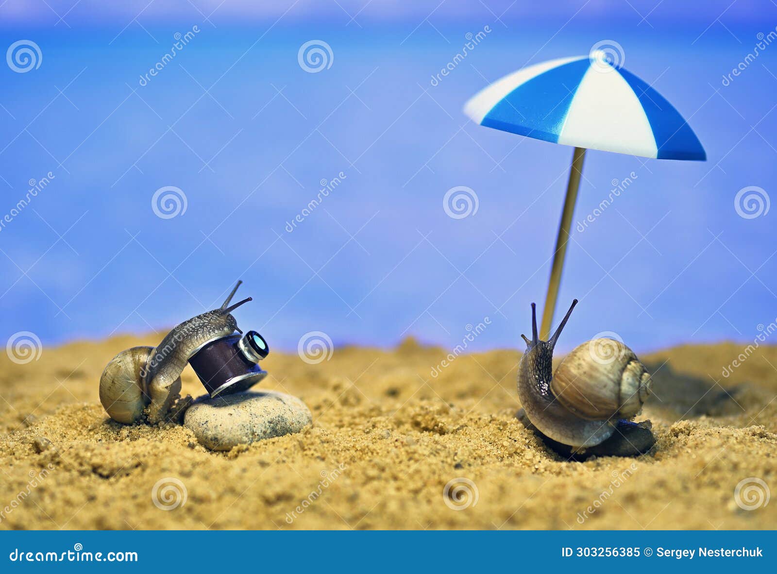 Snails on the Beach. Photo Session on the Seashore Stock Image - Image ...